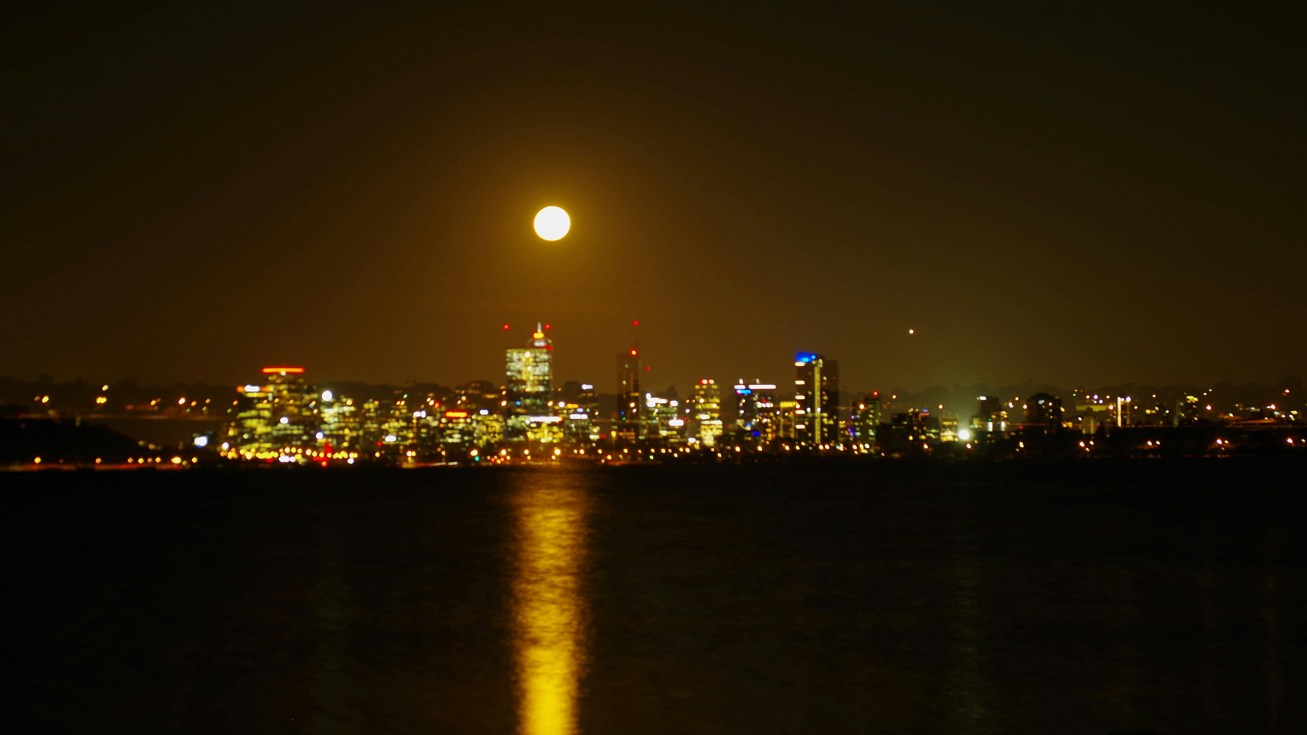 Moonlit Harbour: Neon Skyline over Quiet Waters