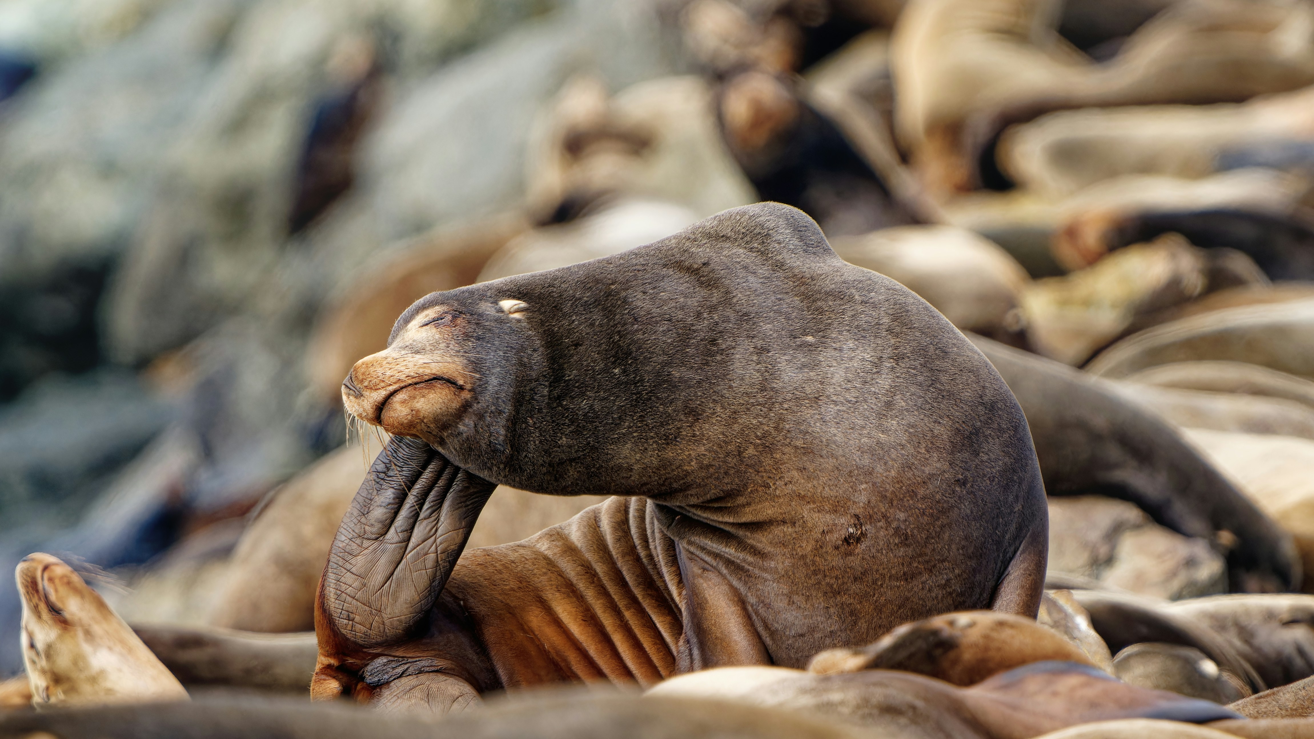 Photo by Patrick Bigelow with Sony Alpha 7R V