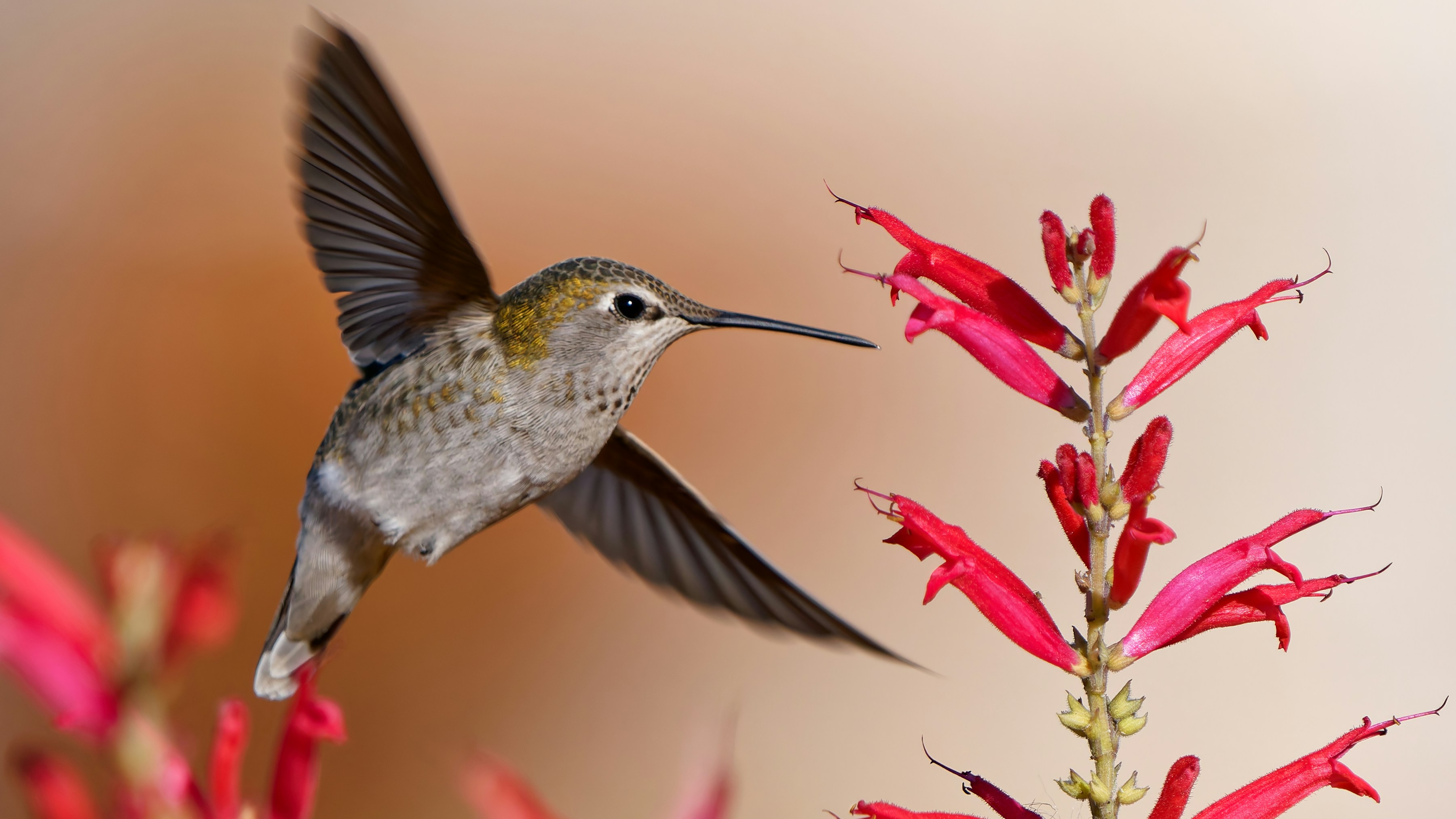 Photo by Patrick Bigelow with Sony Alpha 7R V