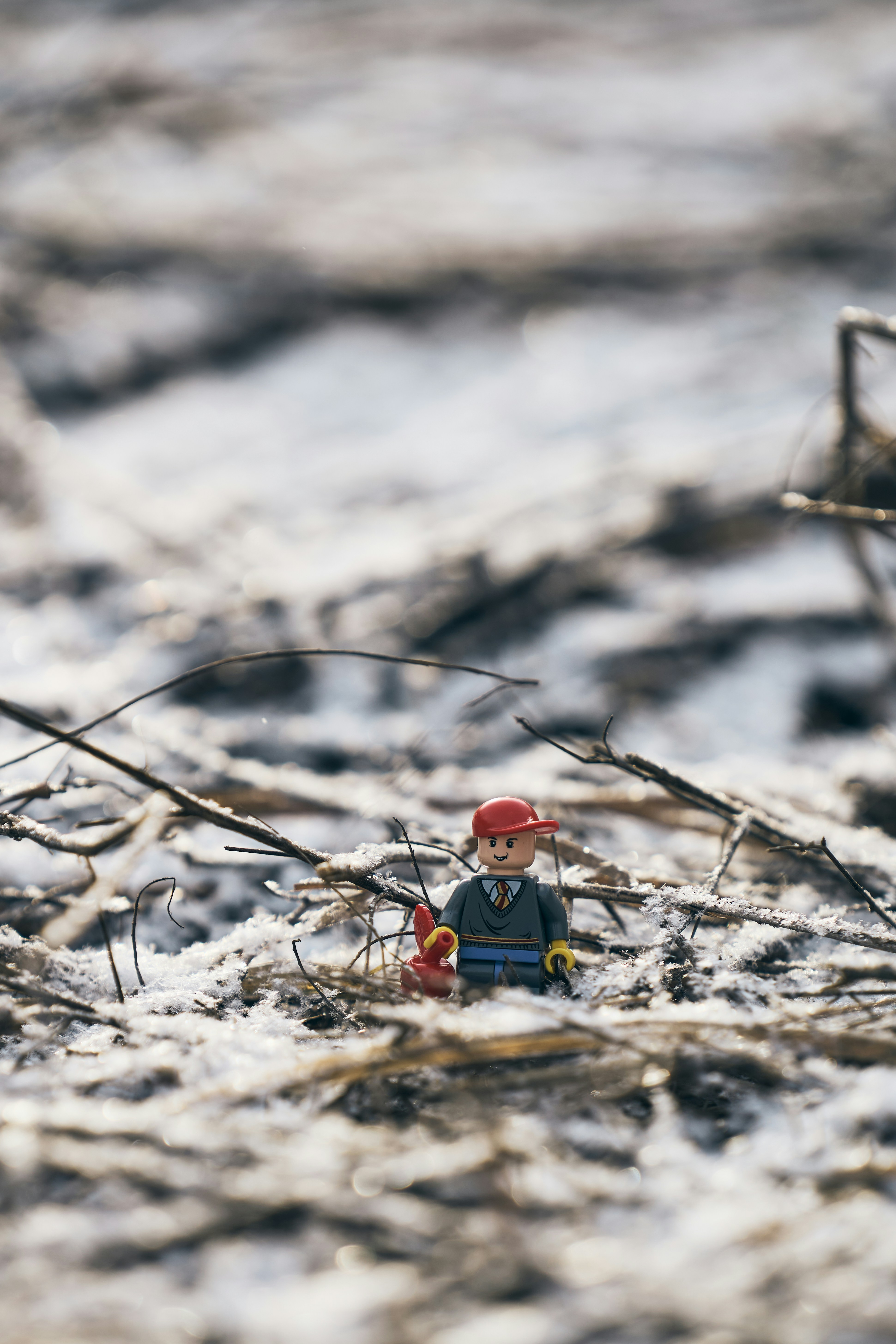 Photo by Maxim Tolchinskiy with Sony Alpha 7 III