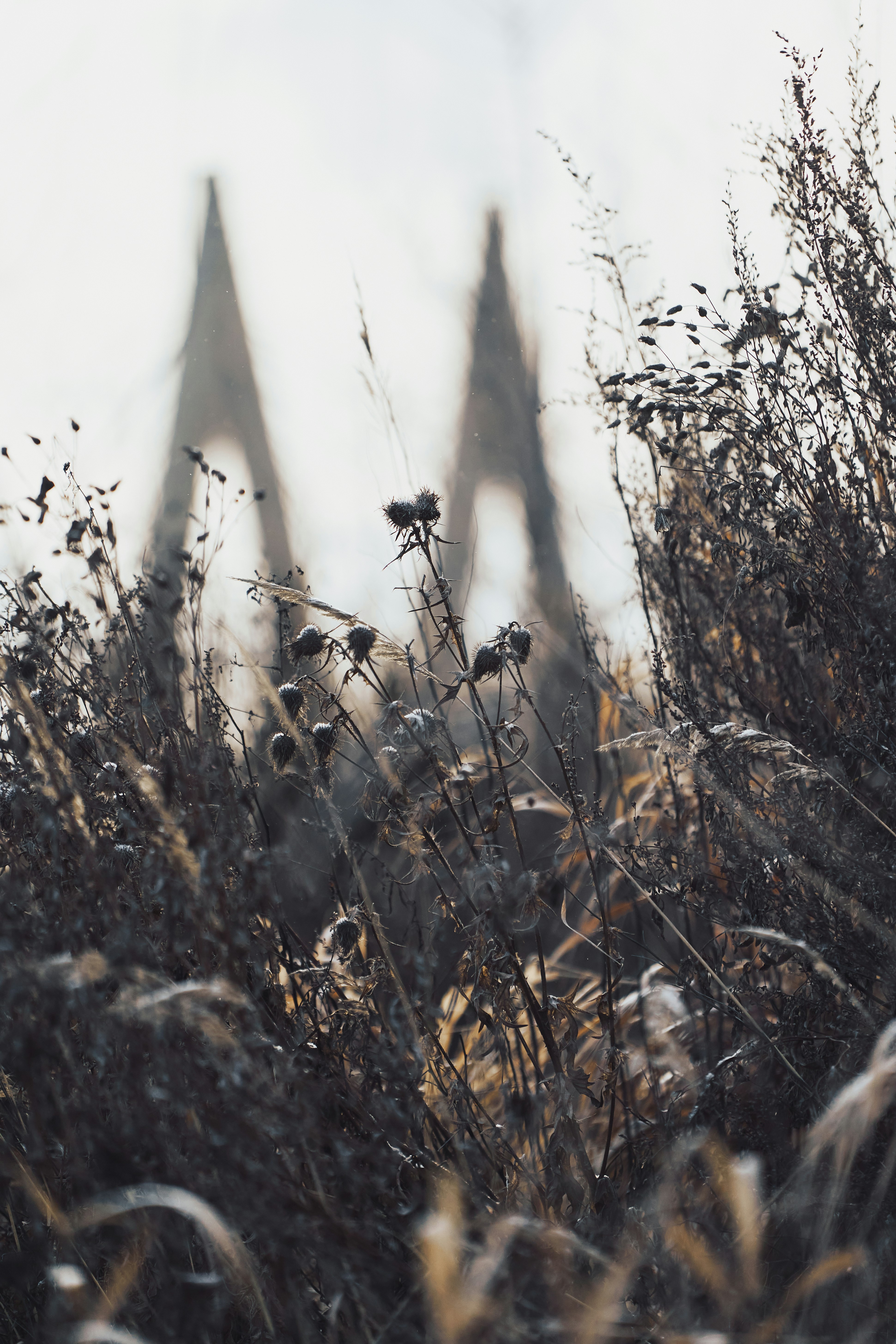 Photo by Maxim Tolchinskiy with Sony Alpha 7 III