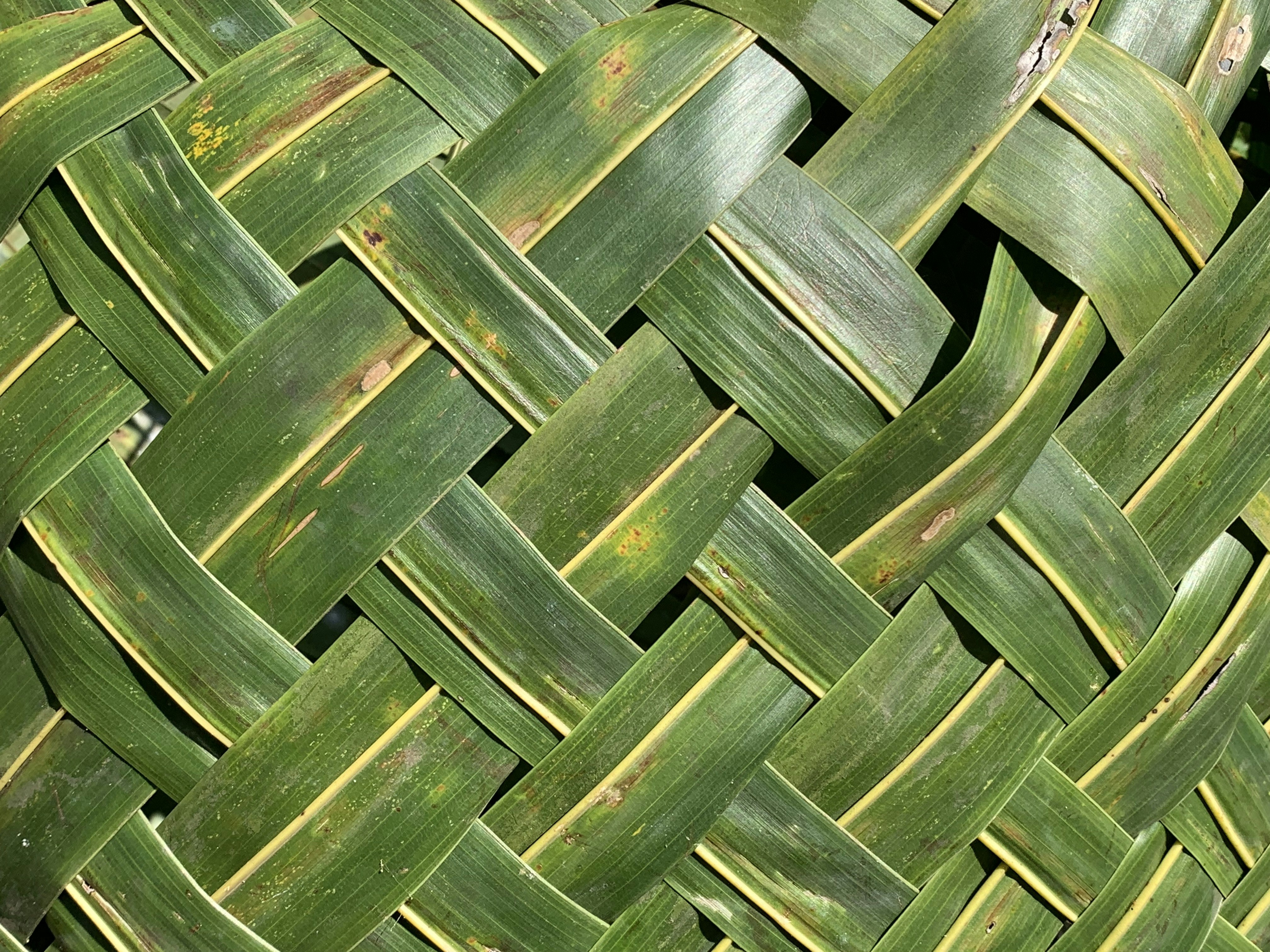 Photo by Second Breakfast with Apple iPhone XR