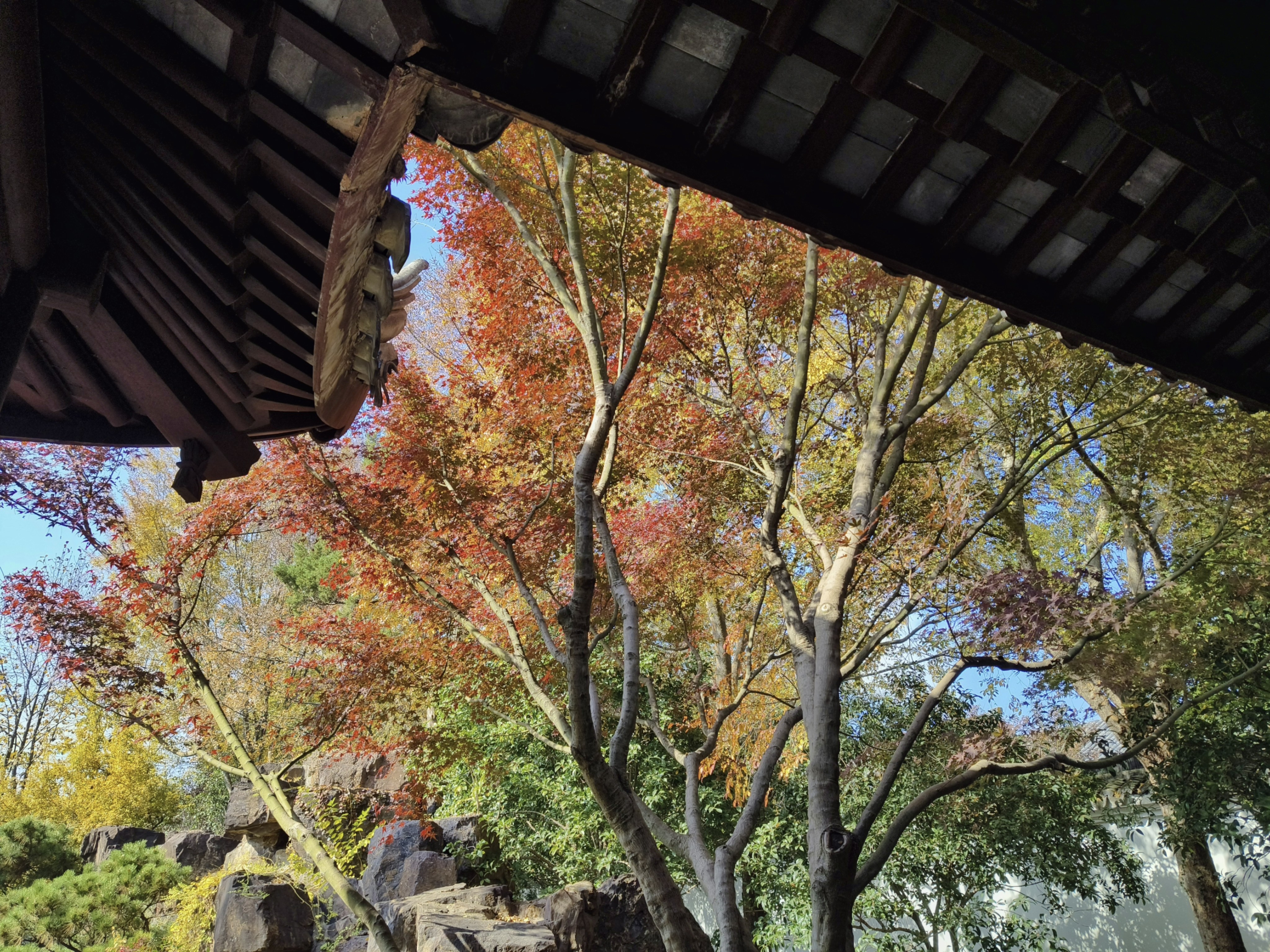 Photo by 長聽 王 with Vivo S17 Pro