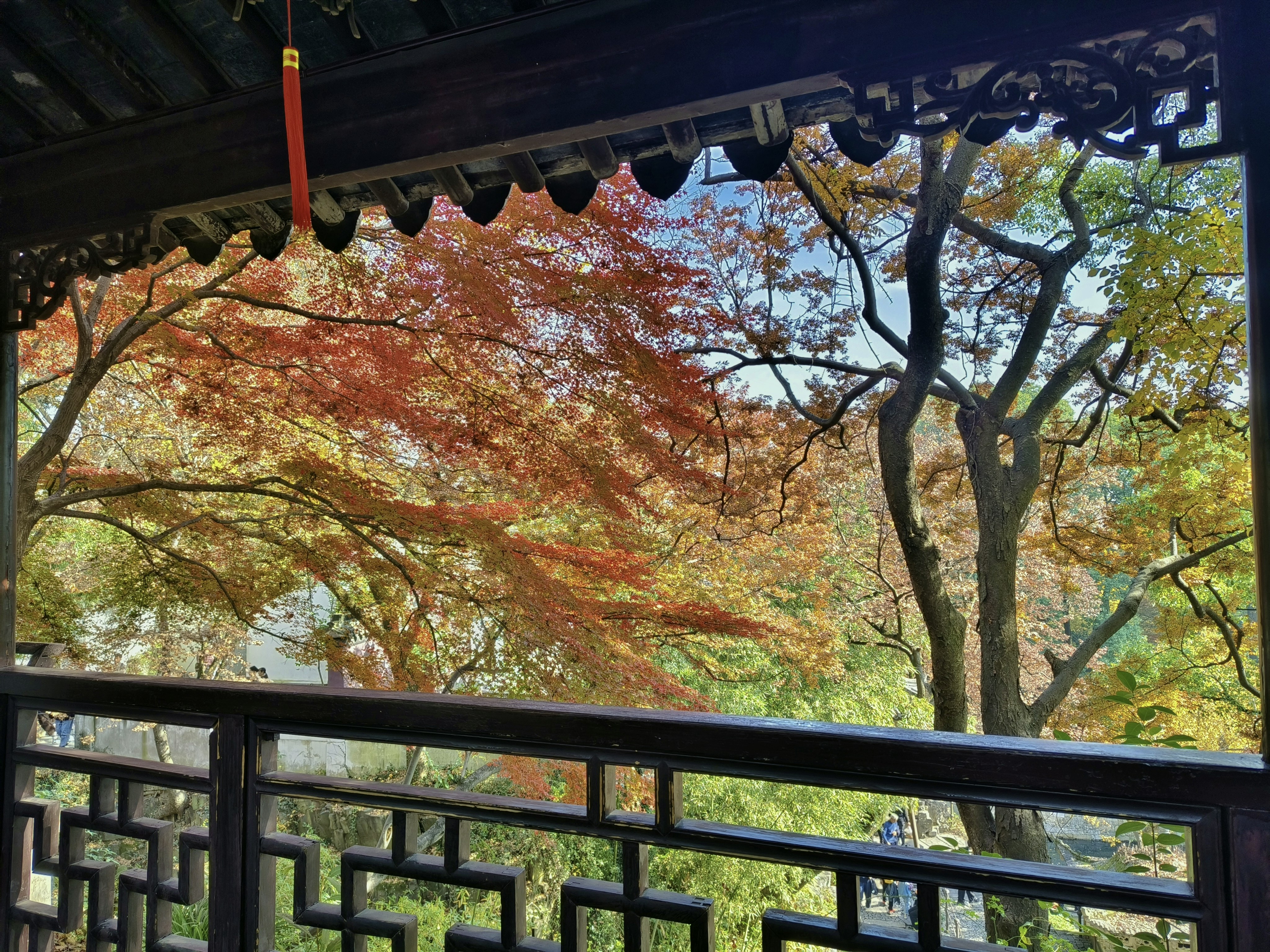 Photo by 長聽 王 with Vivo S17 Pro