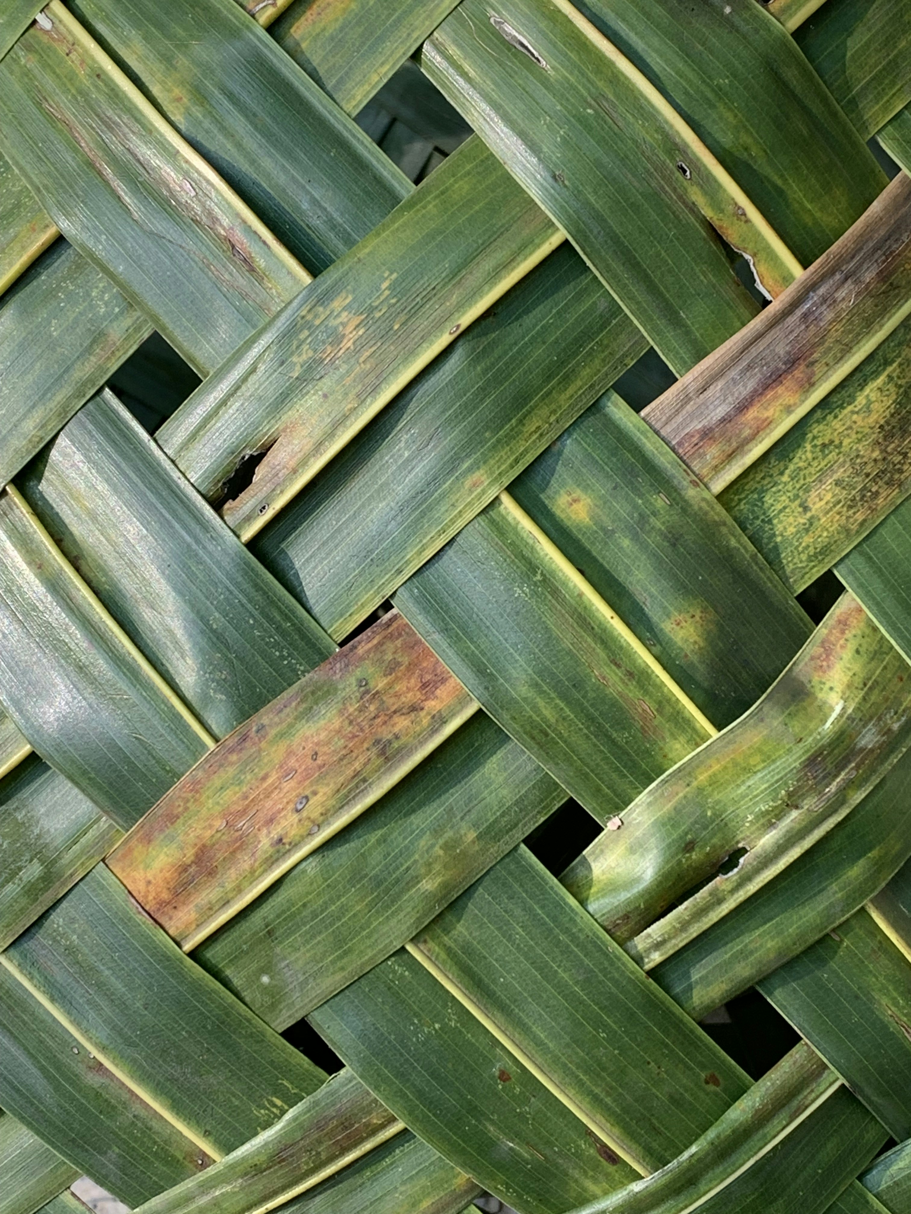 Photo by Second Breakfast with Apple iPhone XR