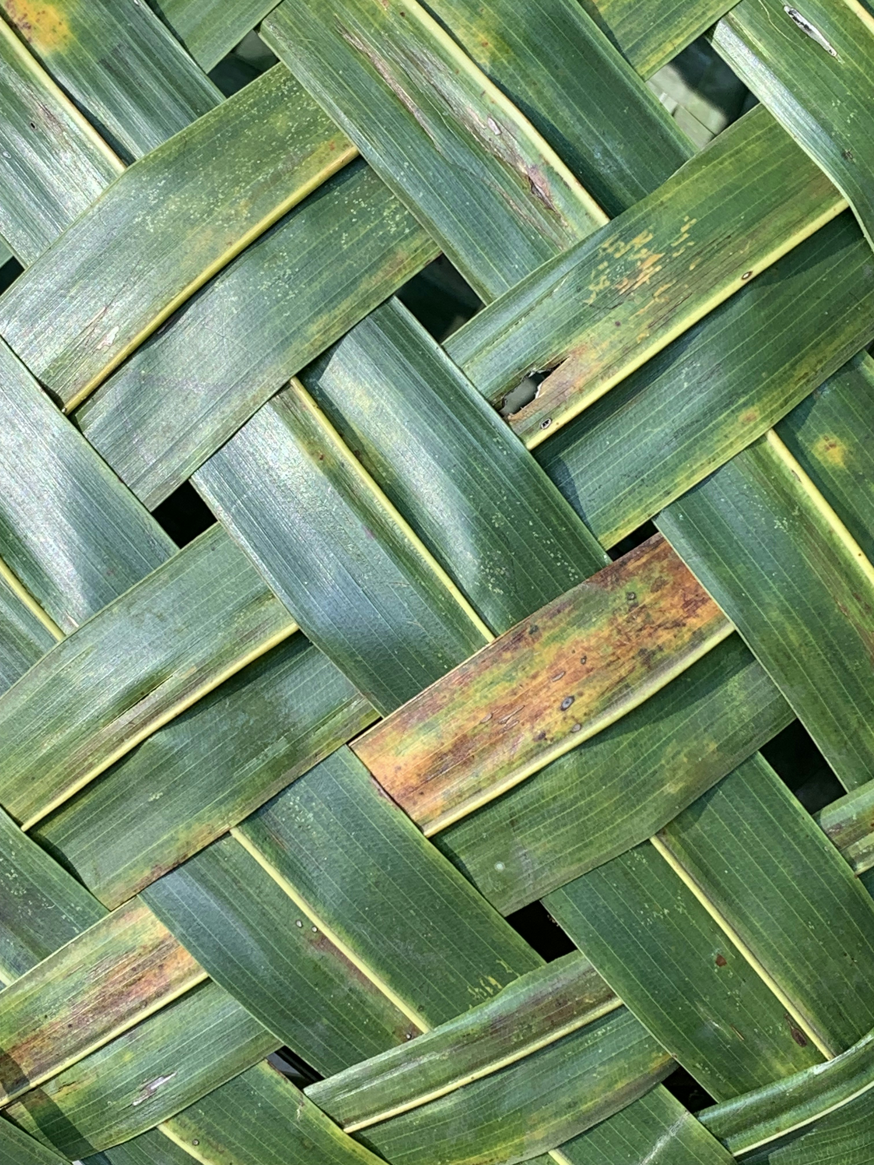 Photo by Second Breakfast with Apple iPhone XR