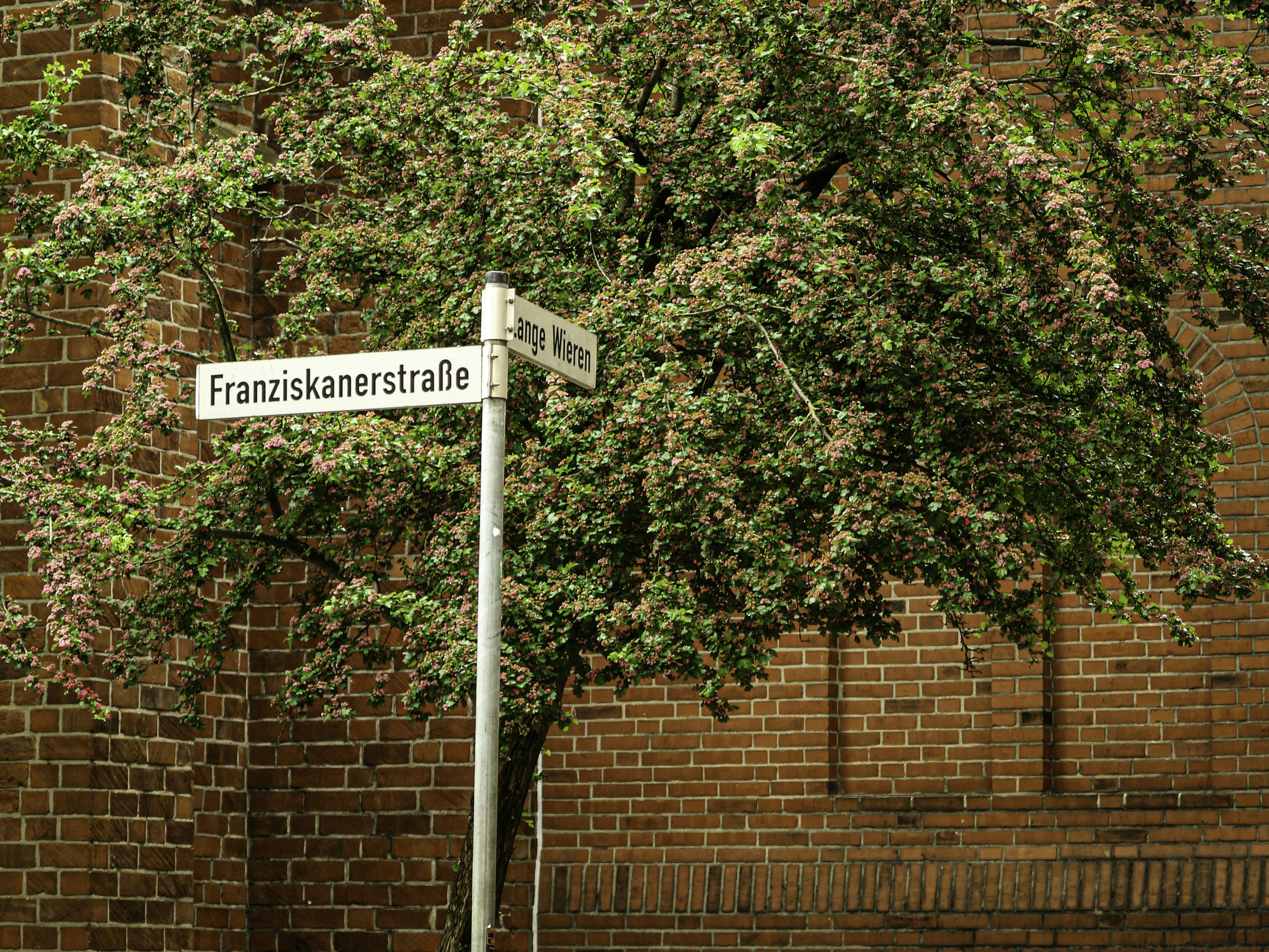 Photo by Vlad Ion with Canon EOS 750D