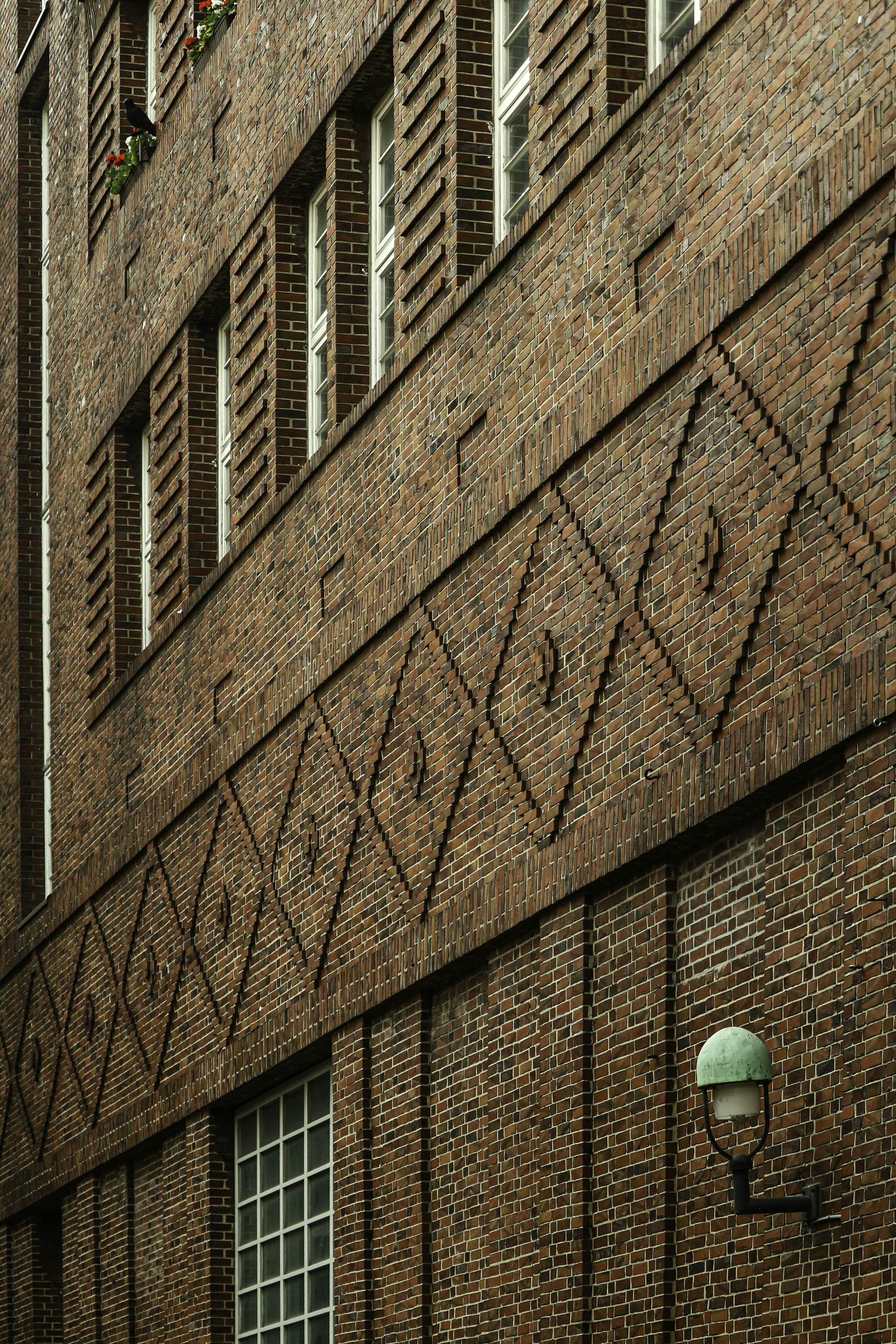 Photo by Vlad Ion with Canon EOS 750D