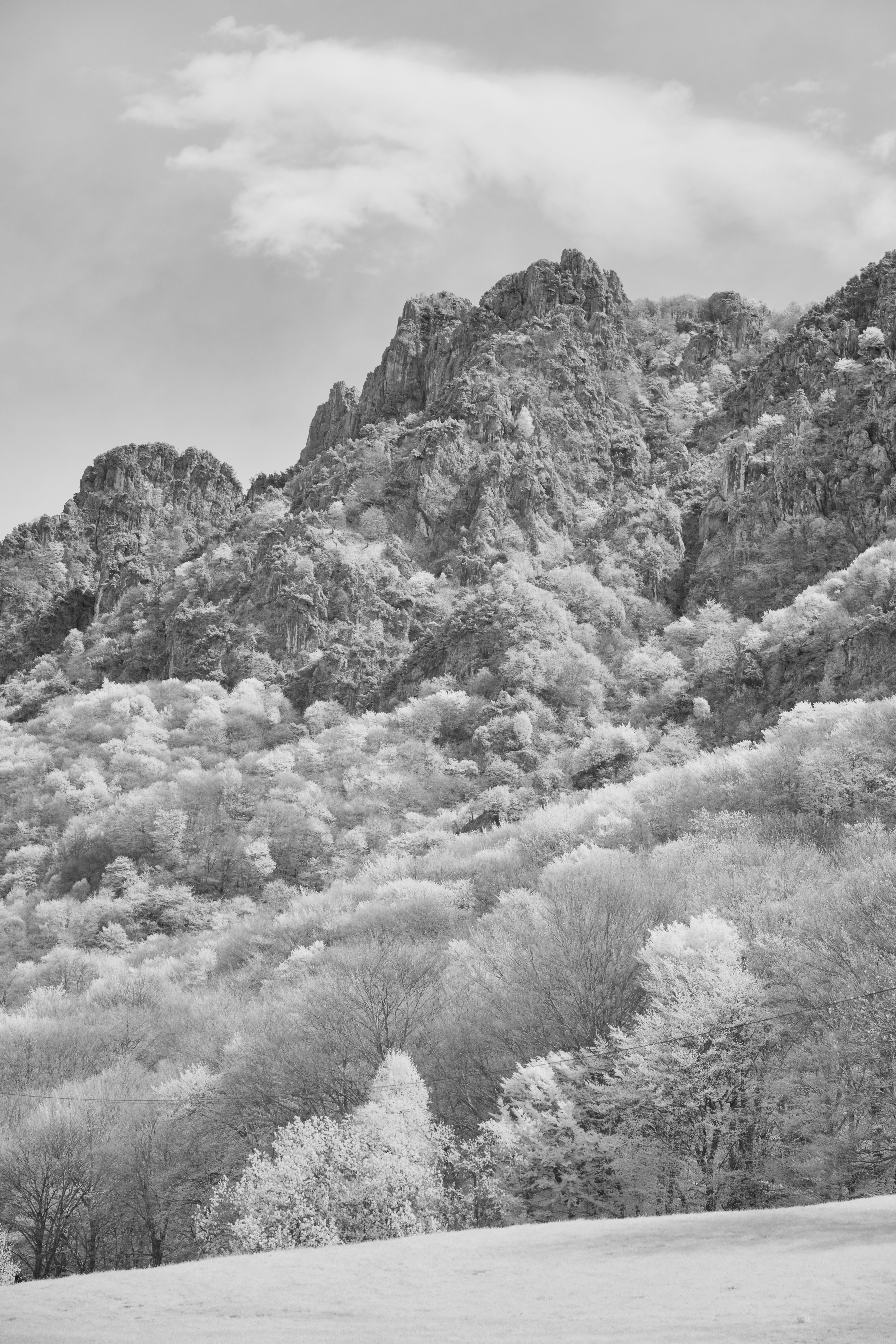 Mist over Granite Peaks: A Quiet Highland Horizon