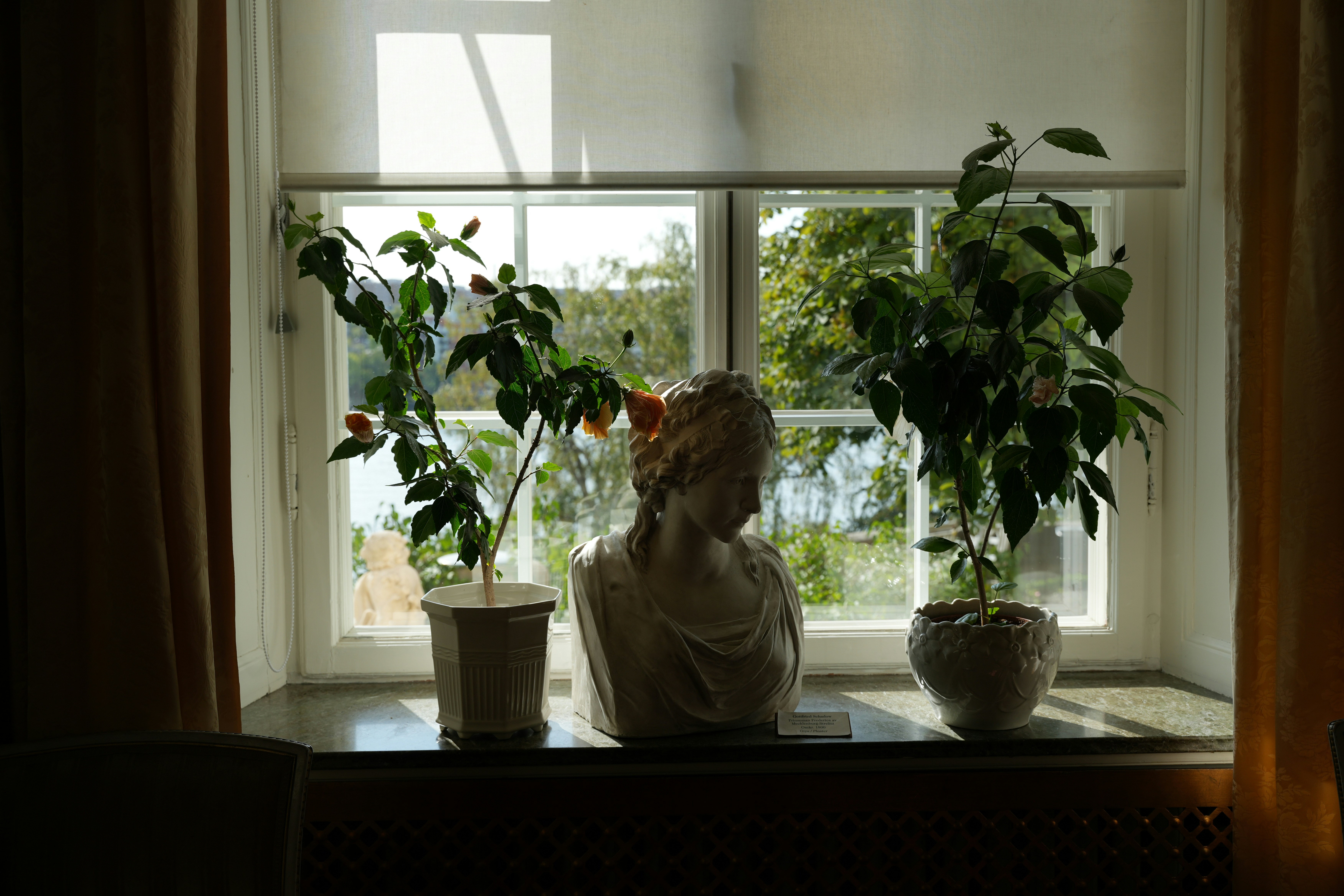 Photo by Adnan Tokgöz with Sony Alpha 7 IV