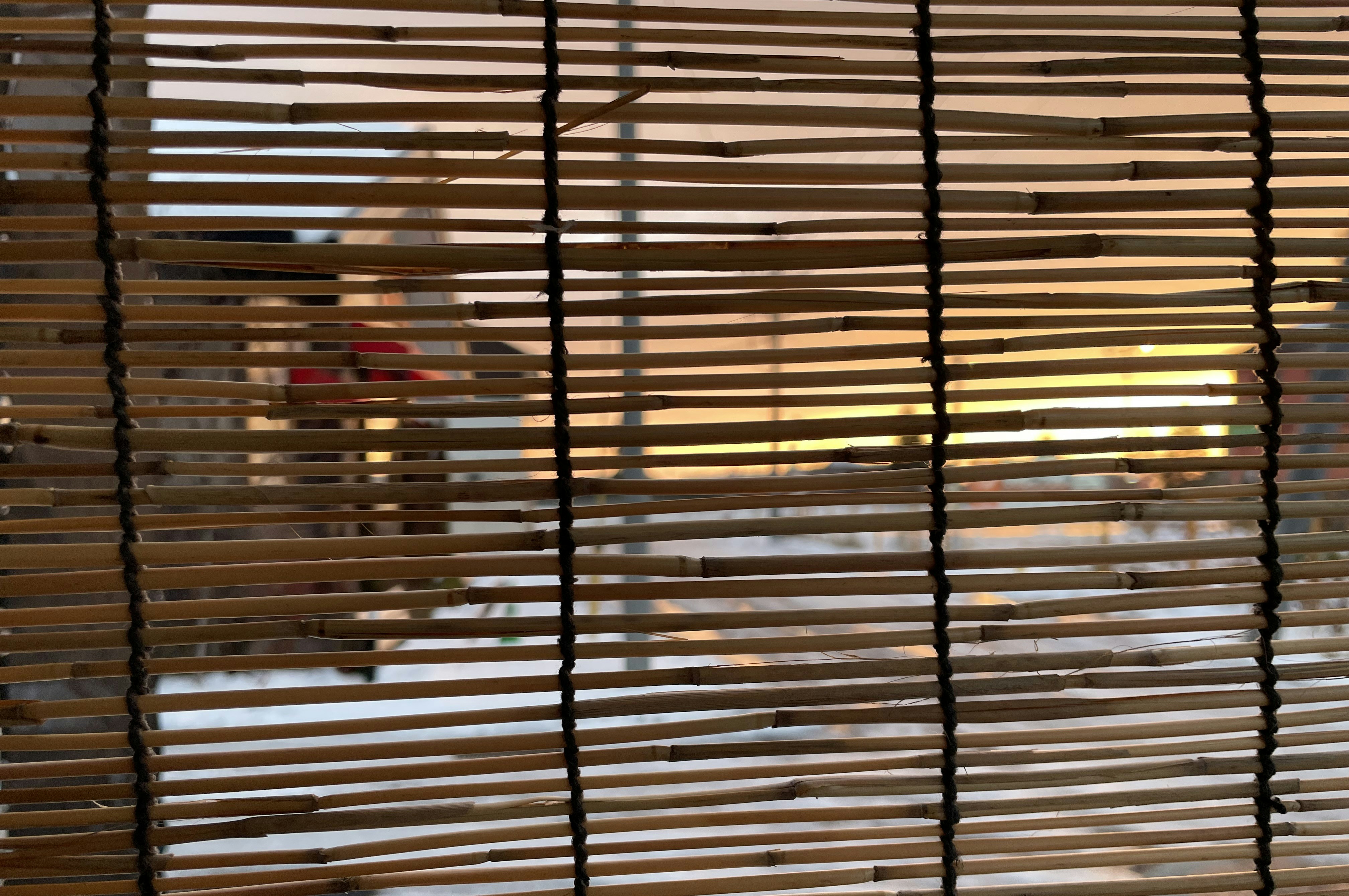 Winter Light Behind the Bamboo Blind