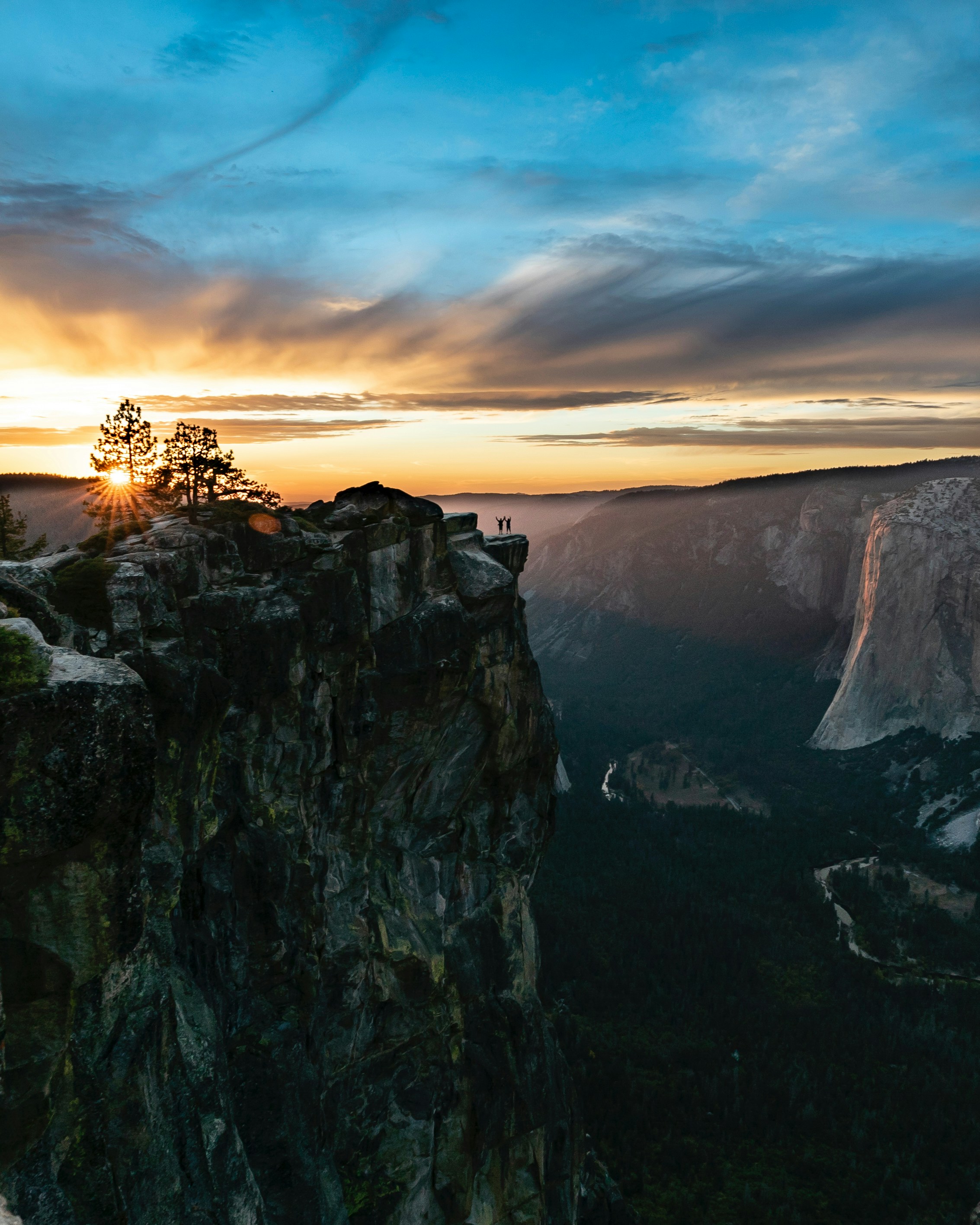 Sunset on the Edge: A Lone Tree Silhouetted Against the Canyon