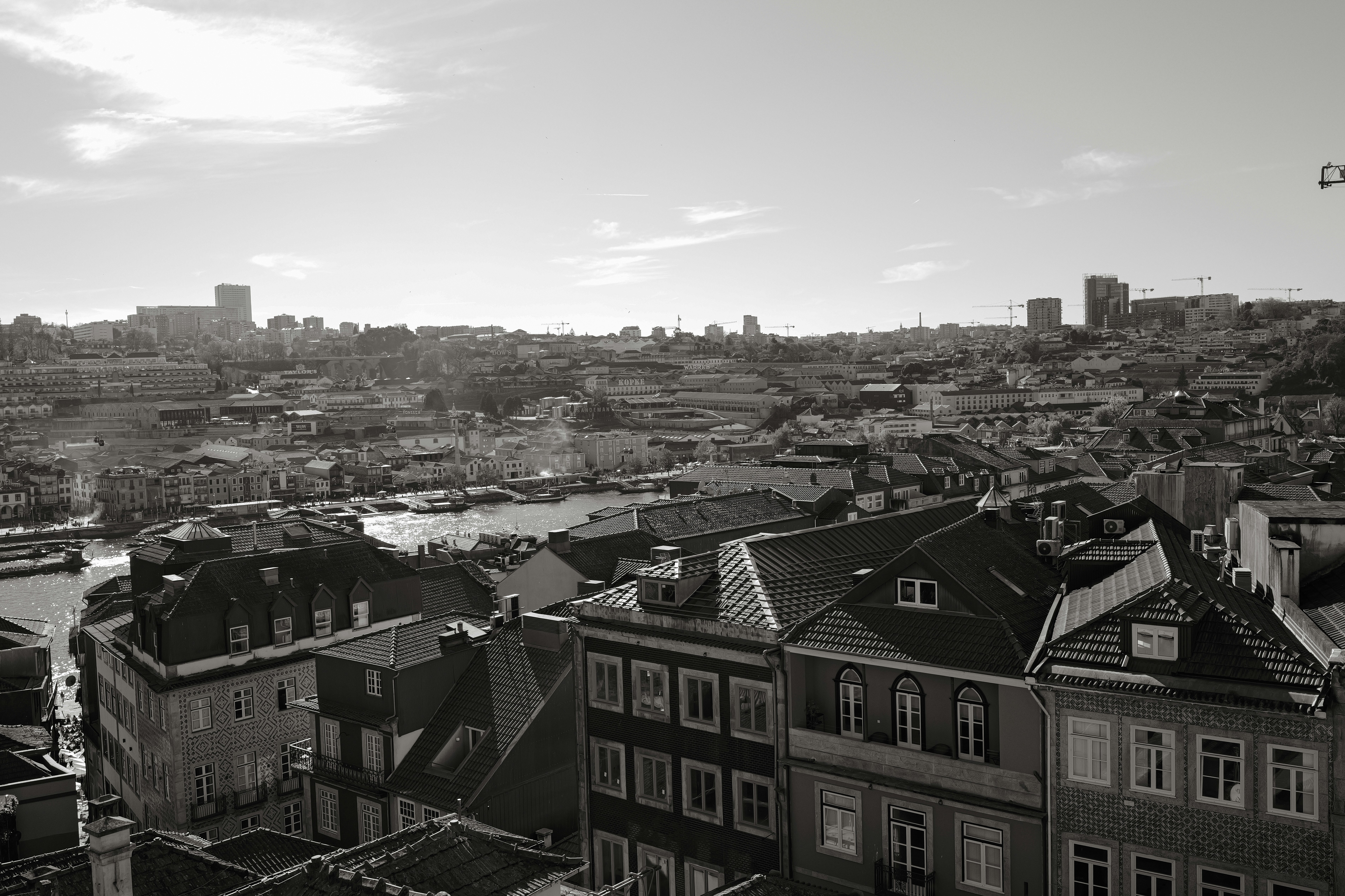 Nuno Alberto (@nunoalberto) | Unsplashフォトコミュニティ