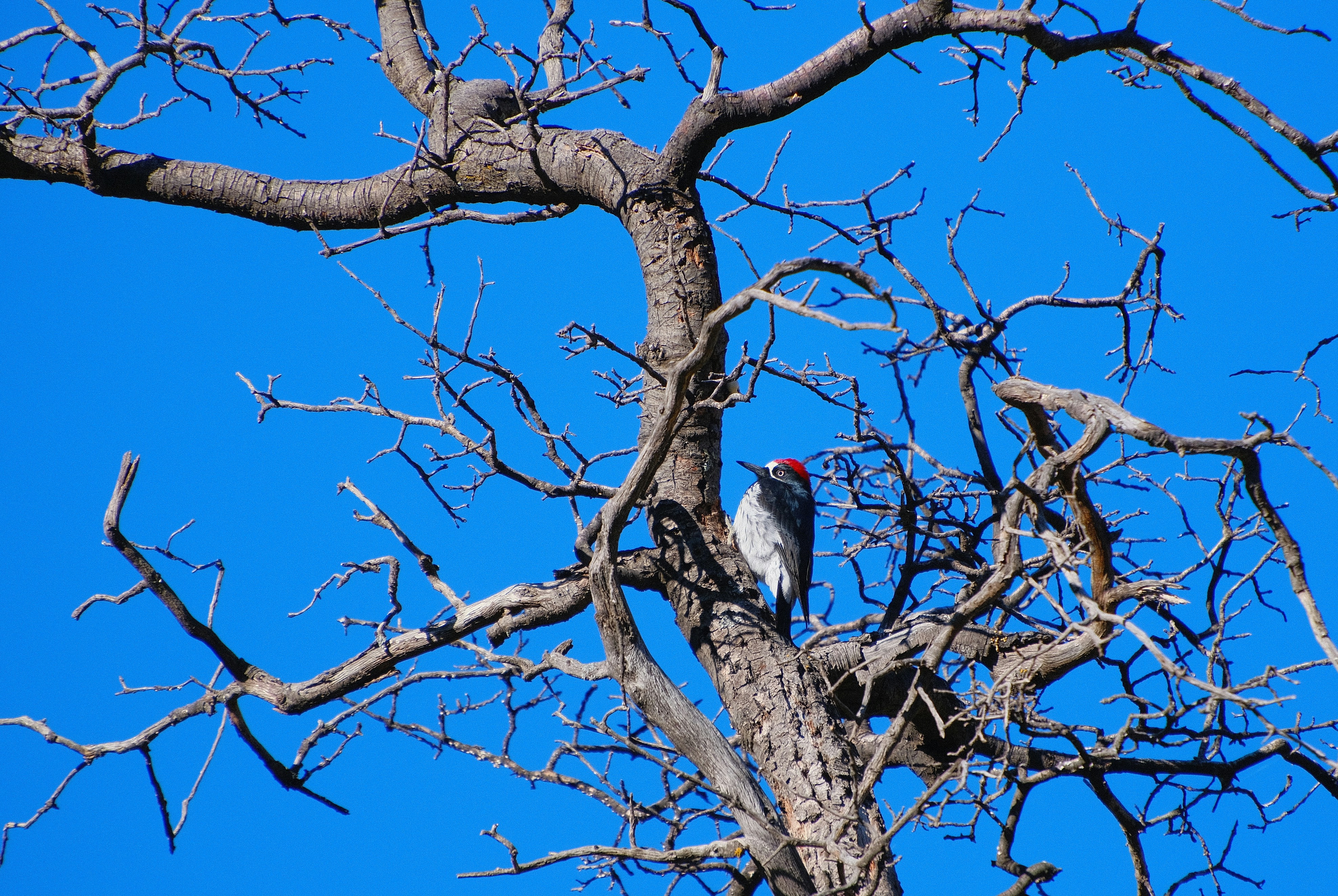 Photo by Ivy Tang with Fujifilm X-T3