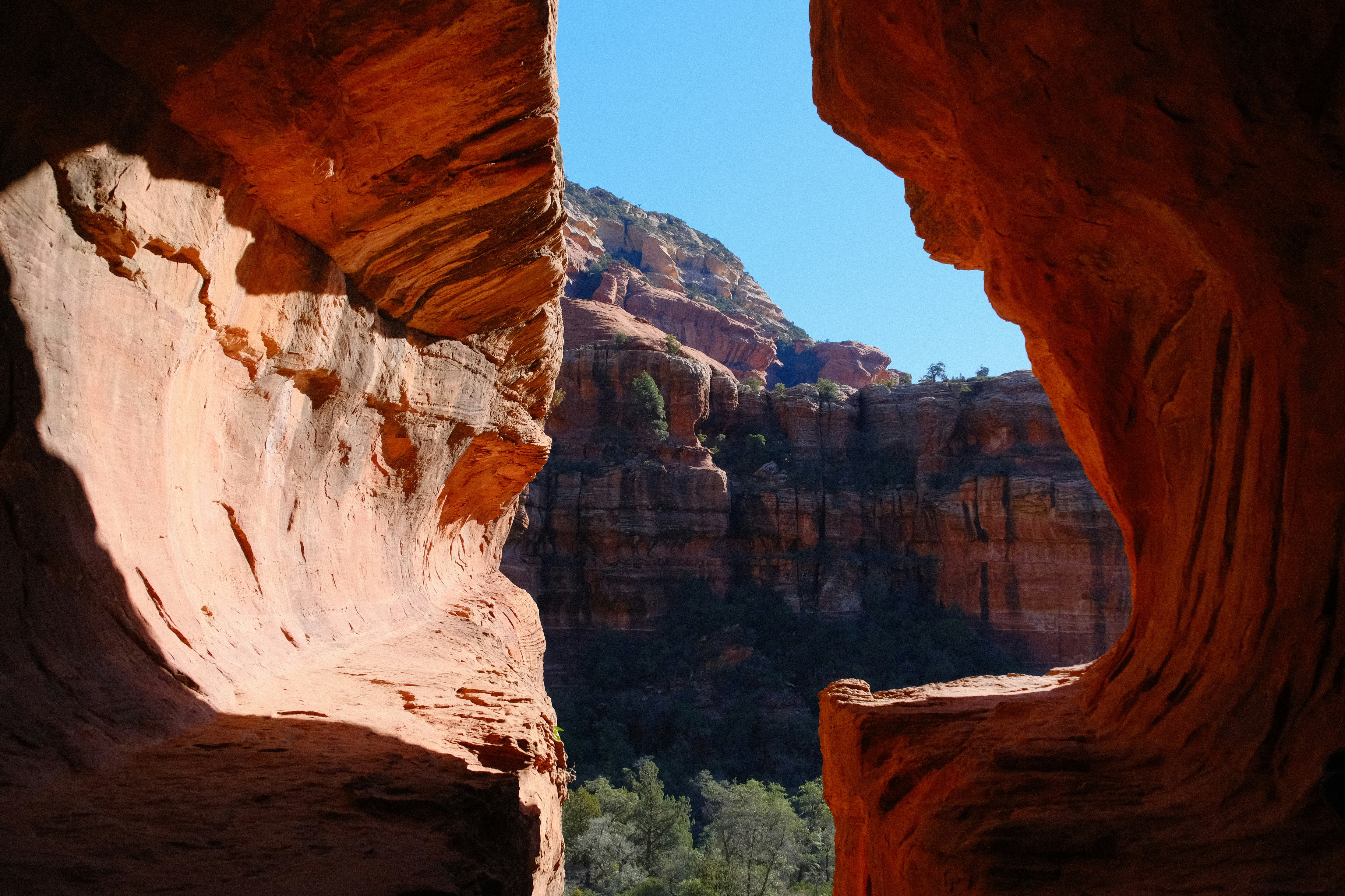 Photo by Ivy Tang with Fujifilm X-T3