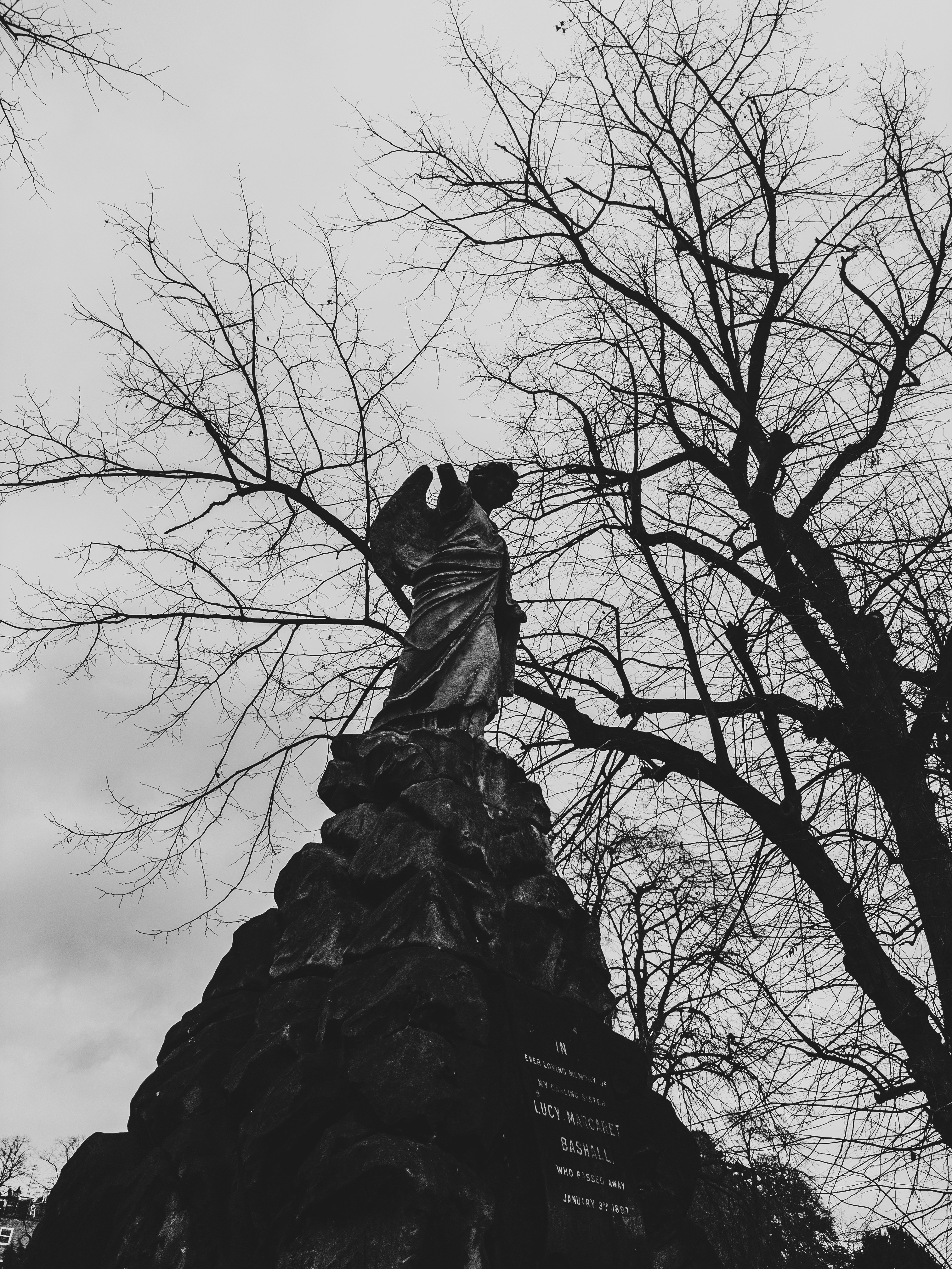 Photo by Fulton Browne with Apple iPhone 16