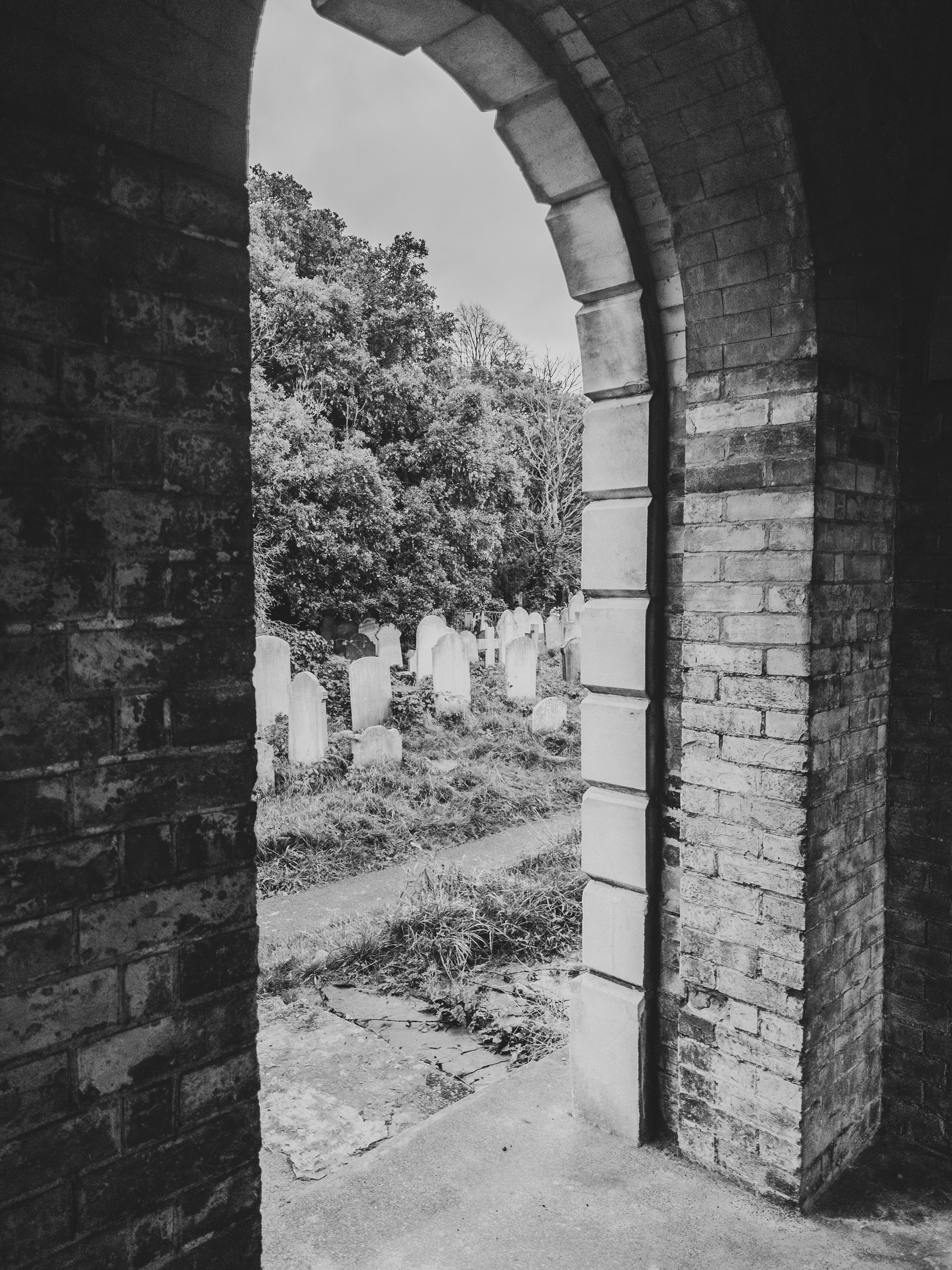 Through the Arch into the Cemetery Grove