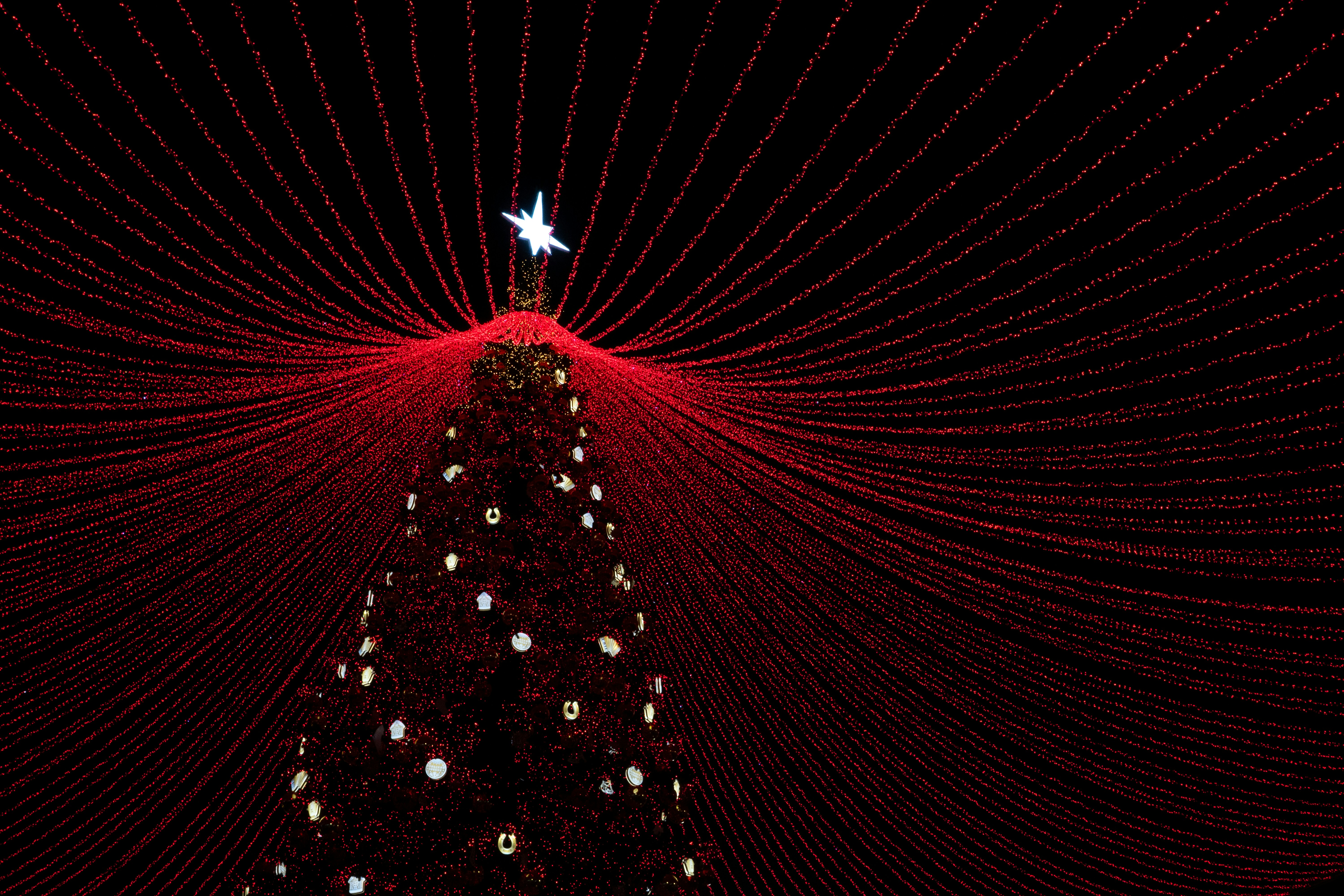 Star atop the Radiant Holiday Tree