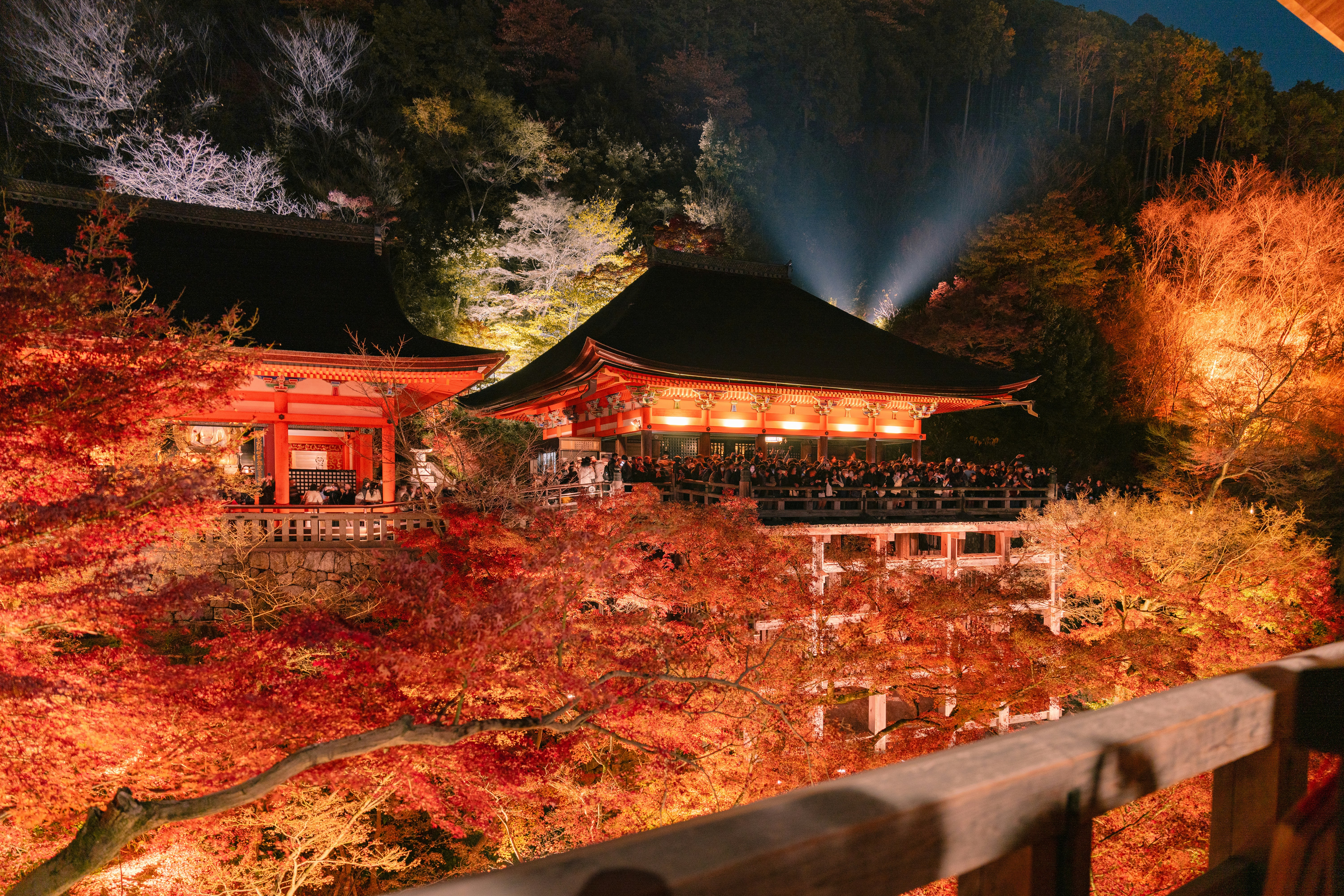 Photo by Akira with Sony Alpha 7C R