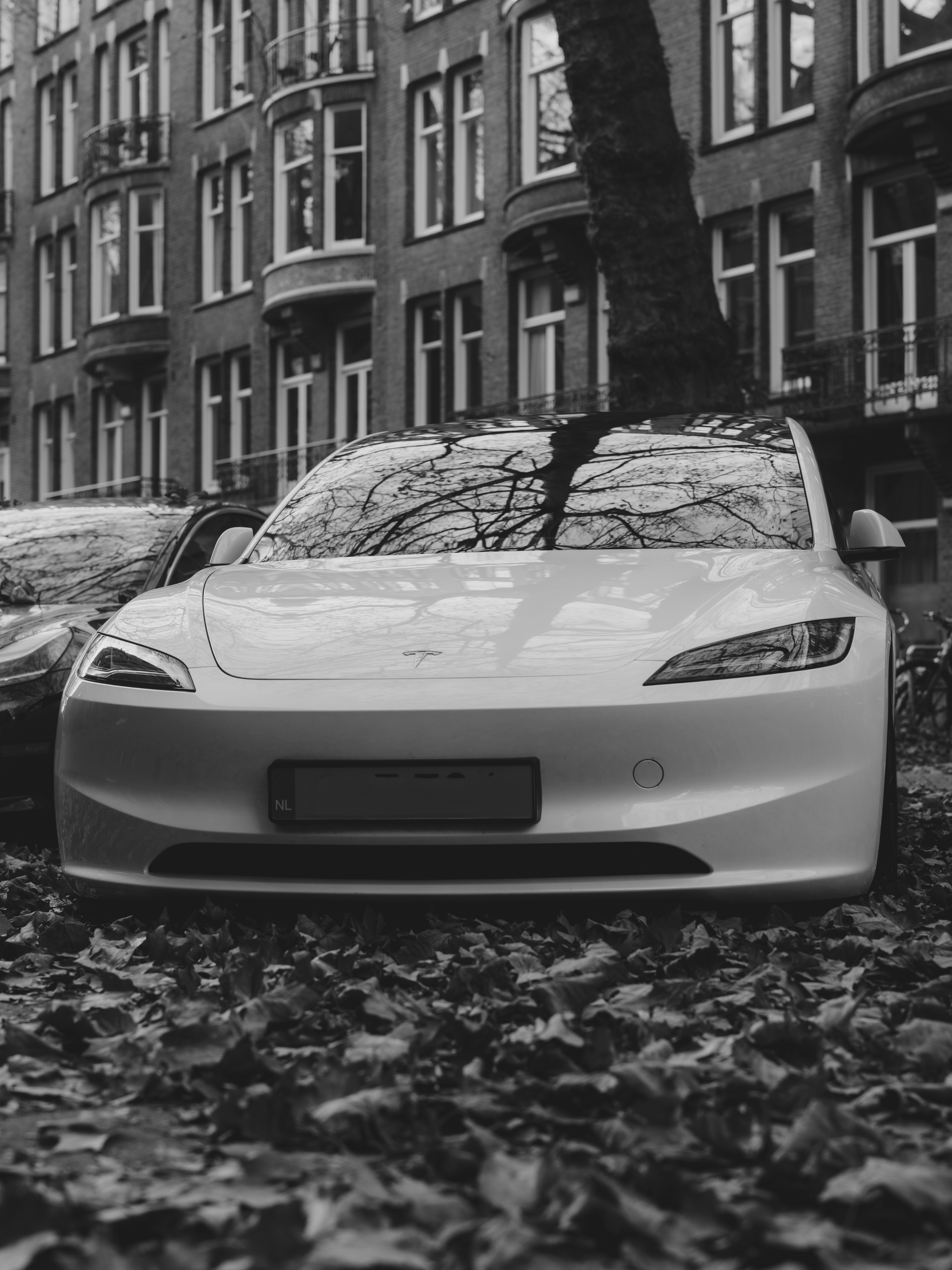Low Carldawn in the Alley: A Tesla’s Quiet Gaze