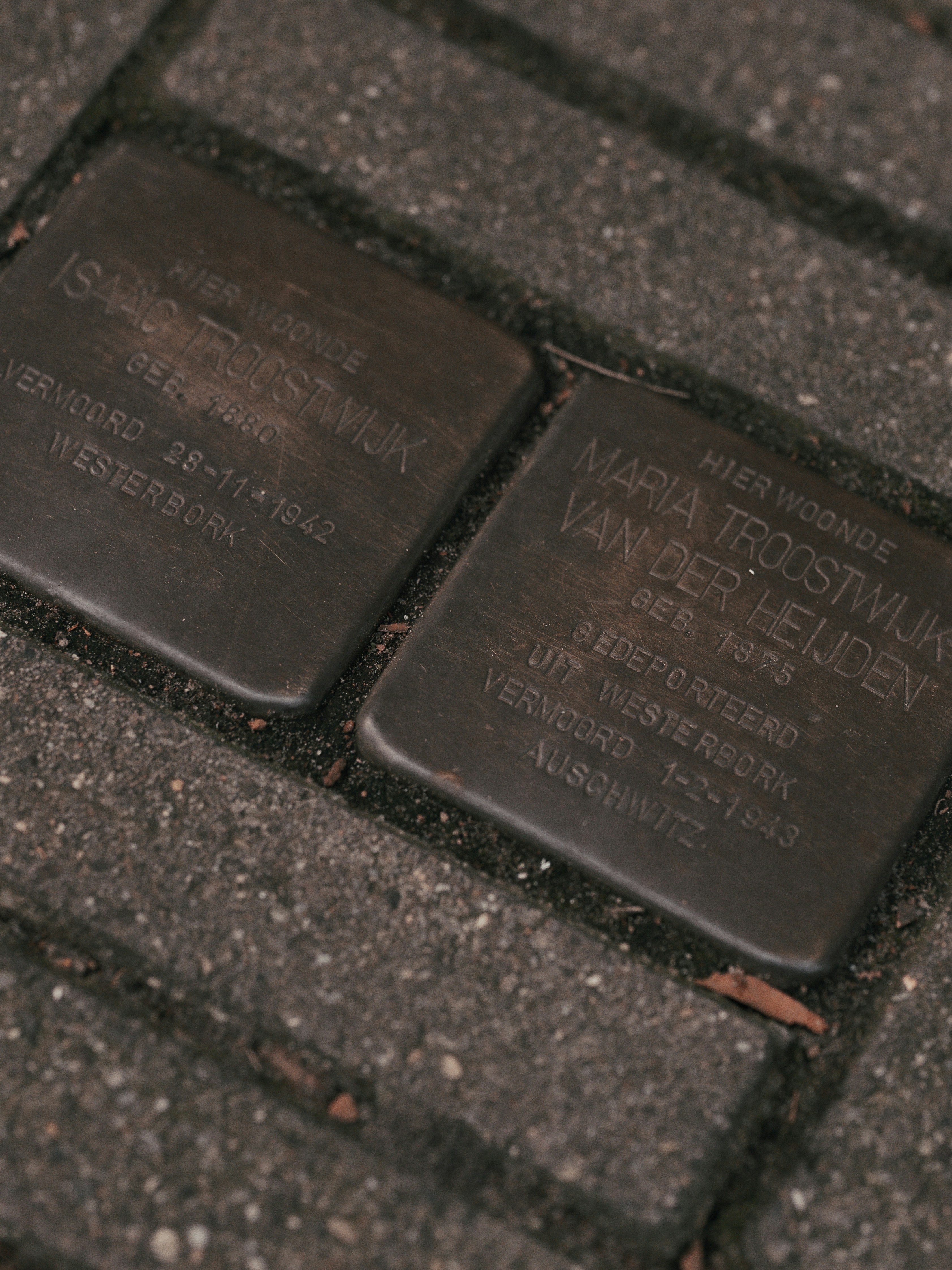 Strewn Memorial Plaques on Cobblestone Path