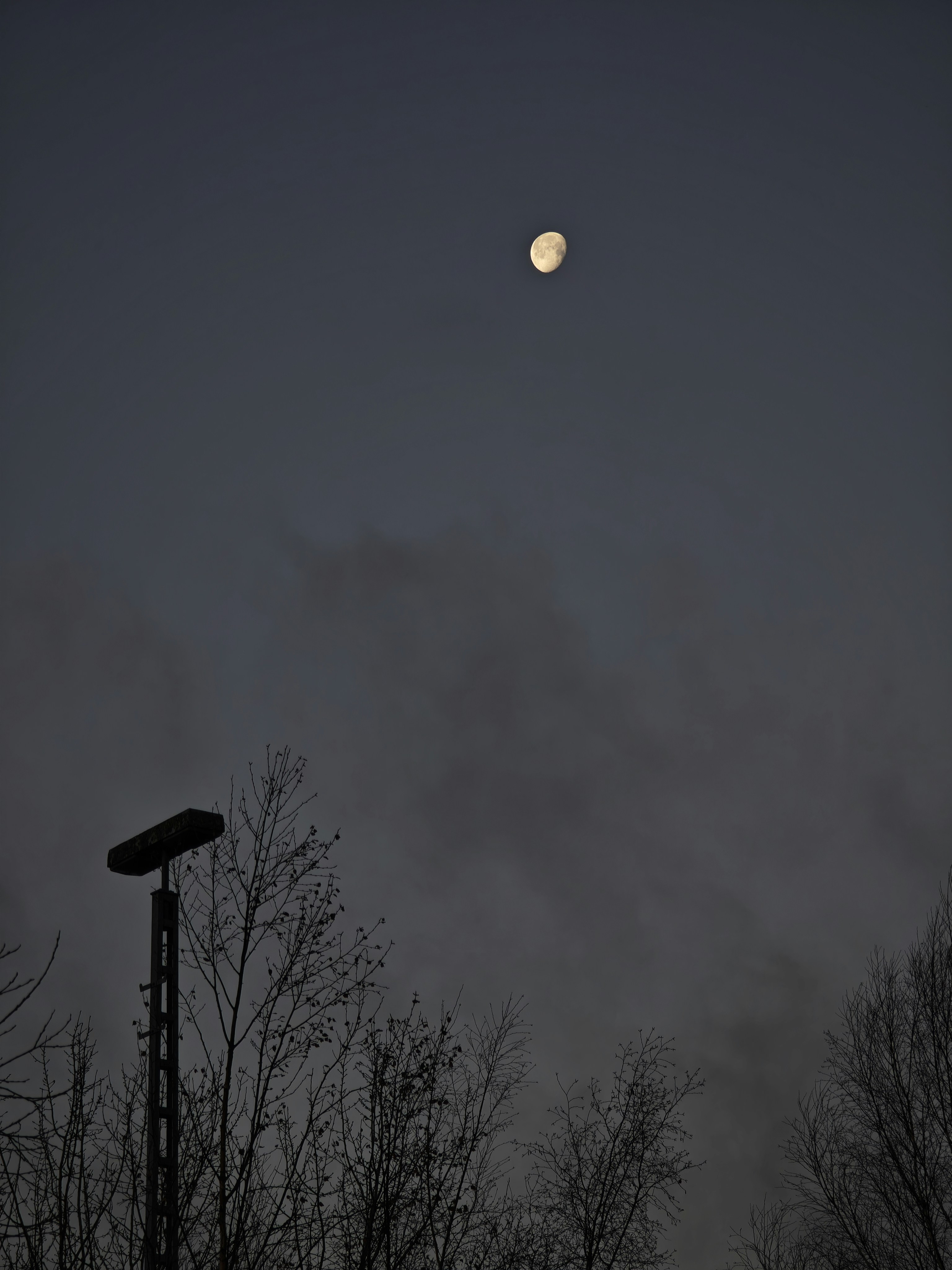 Photo by Sumanth with Xiaomi 14 Ultra