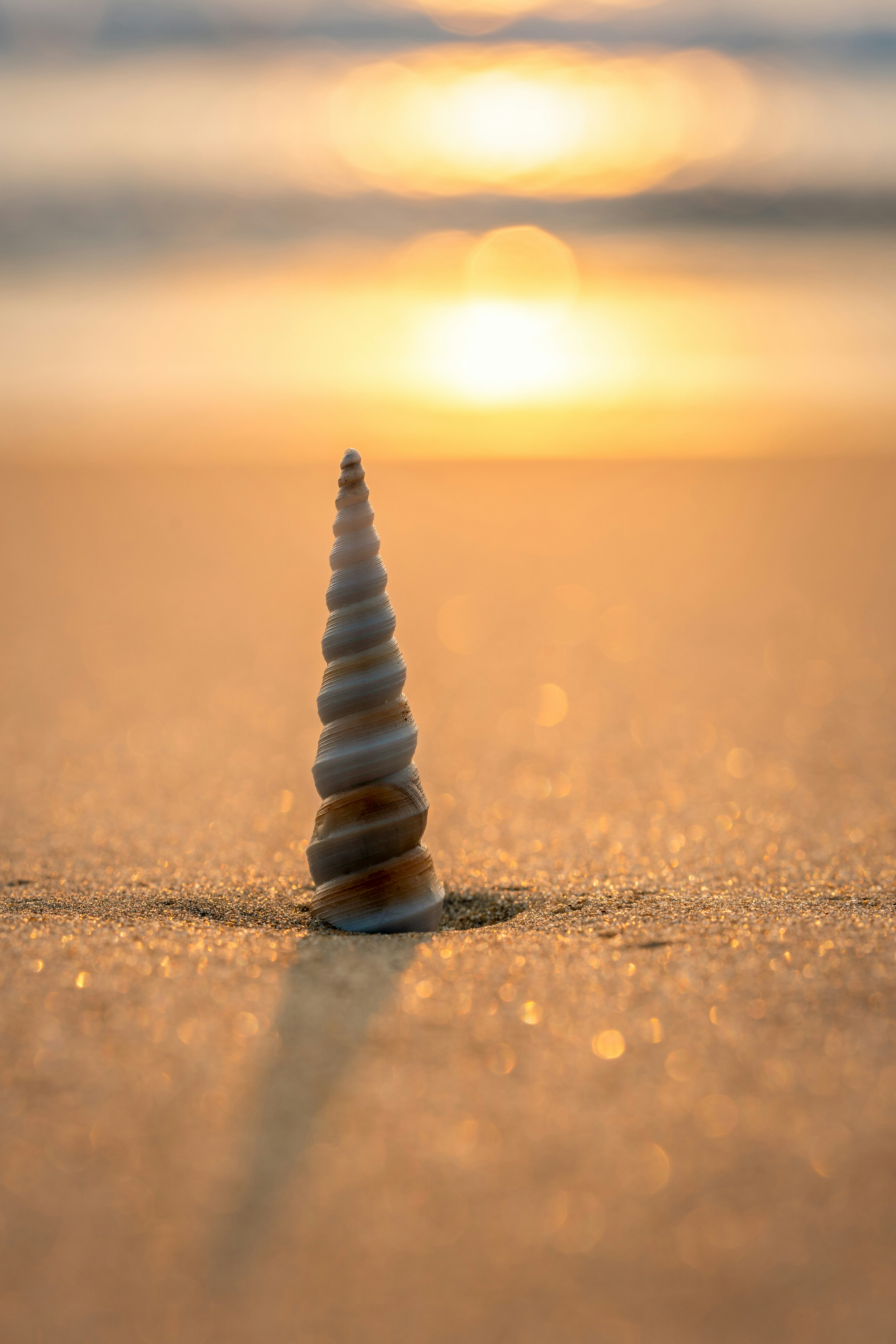 Shell Tower in Golden Dunes at Sunset