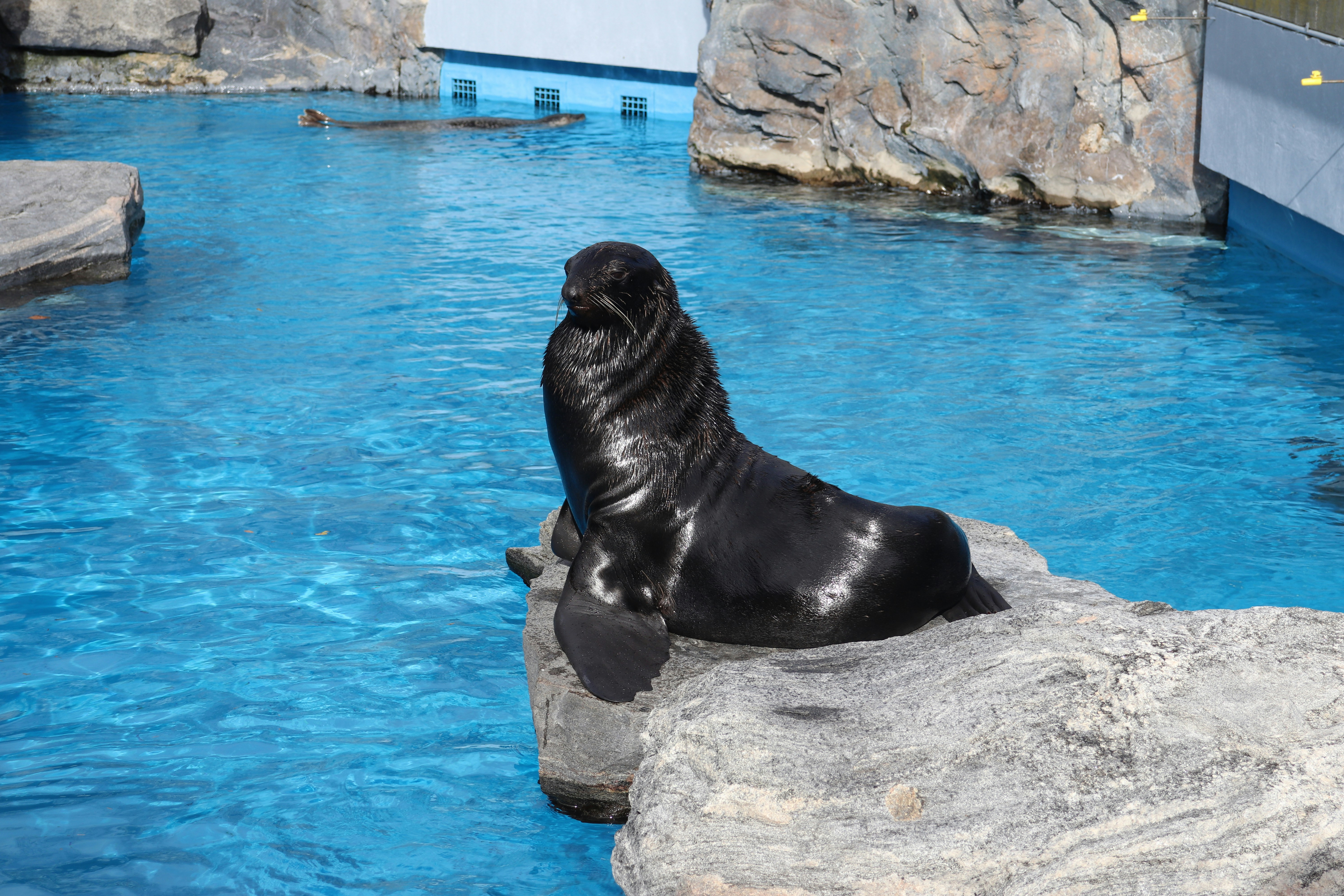 Photo by Lia Schmidt with Canon EOS 77D