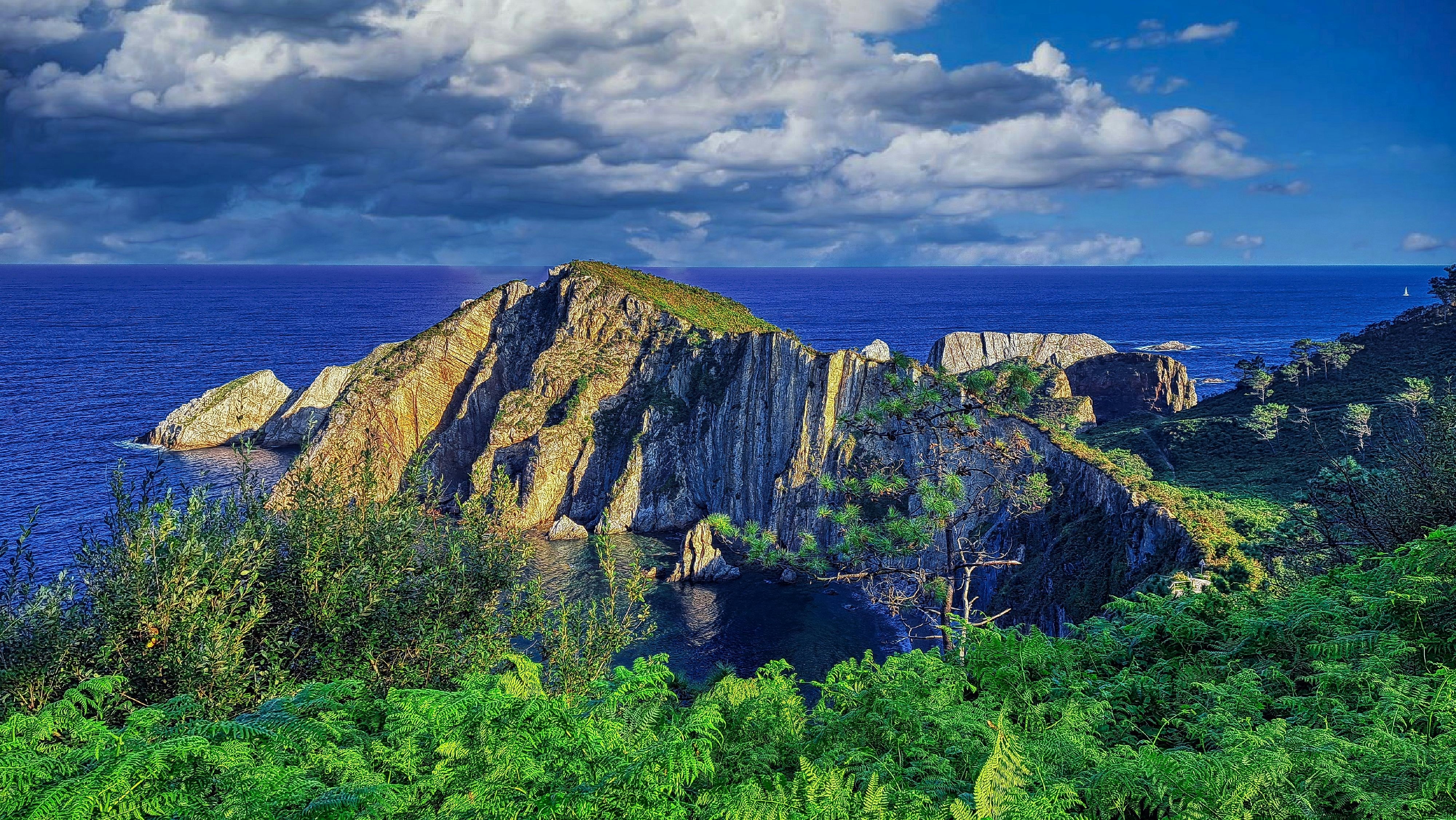 Cliff Crest Meeting the Pacific: Sunlit Rocks and Green Shoreline
