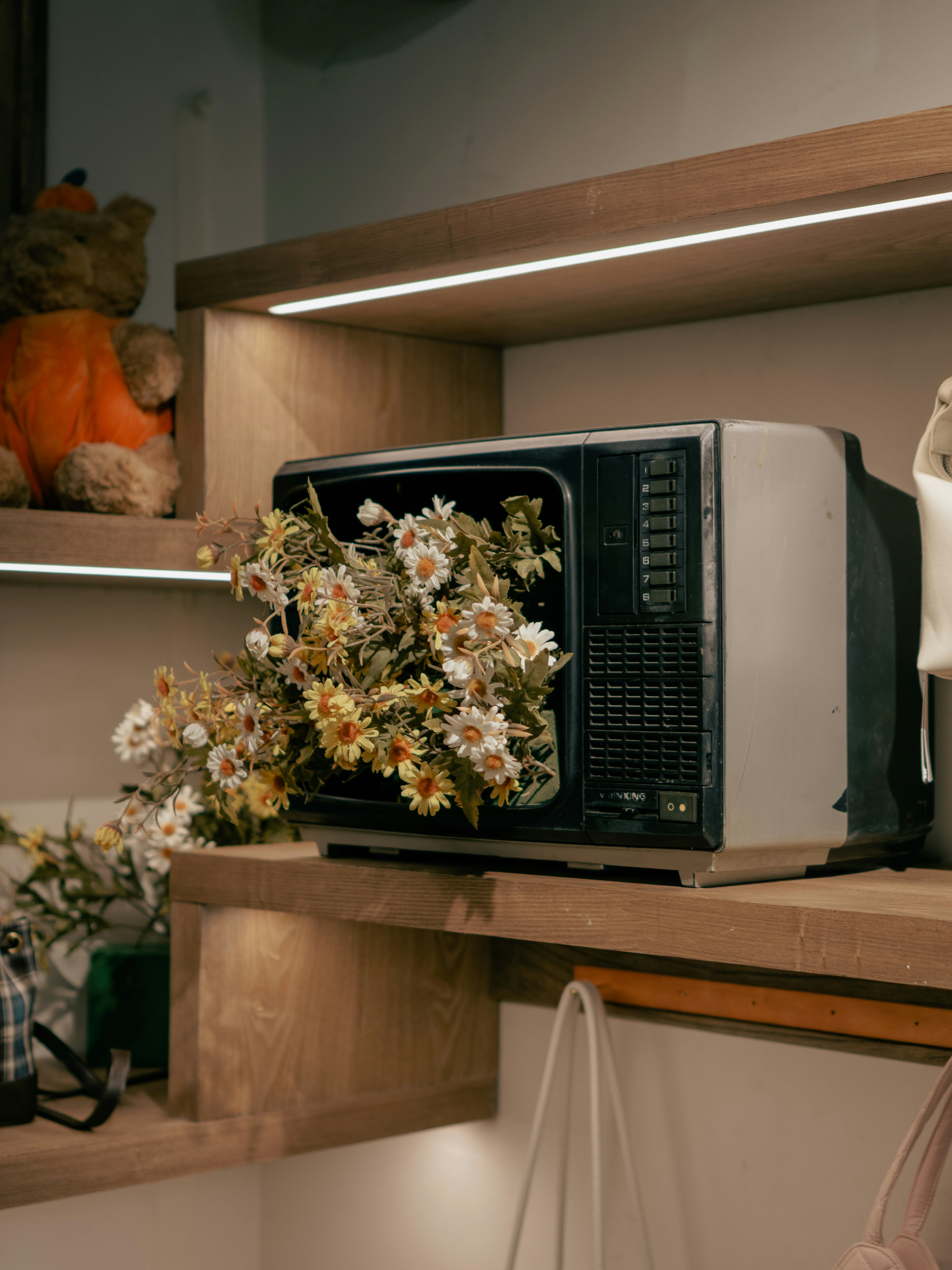 Flowers growing out of an old television screen. photo – Free Flowers ...