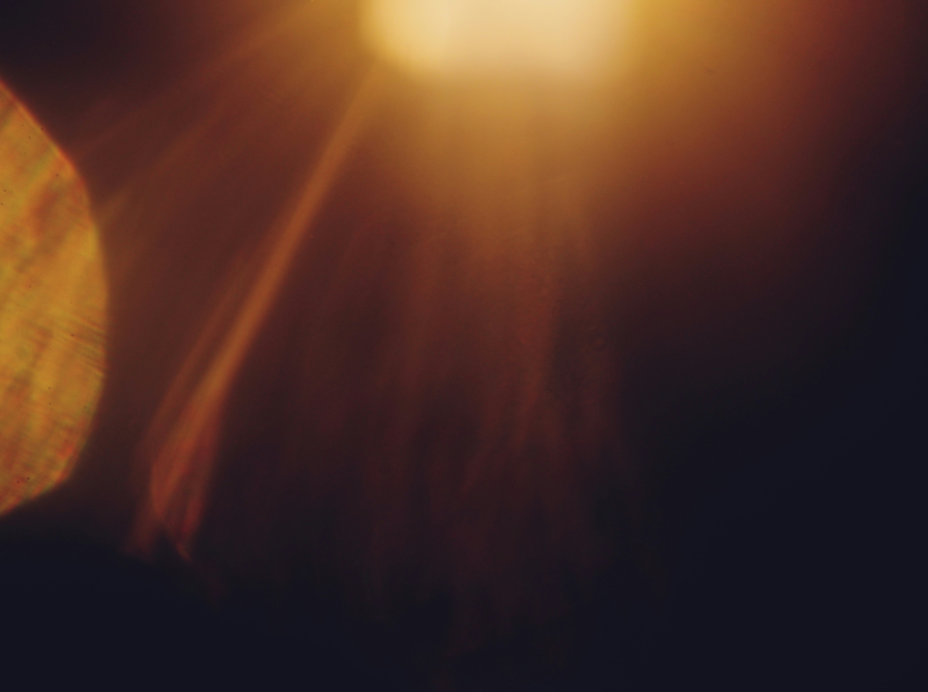 Photo by Liana S with Nikon D600