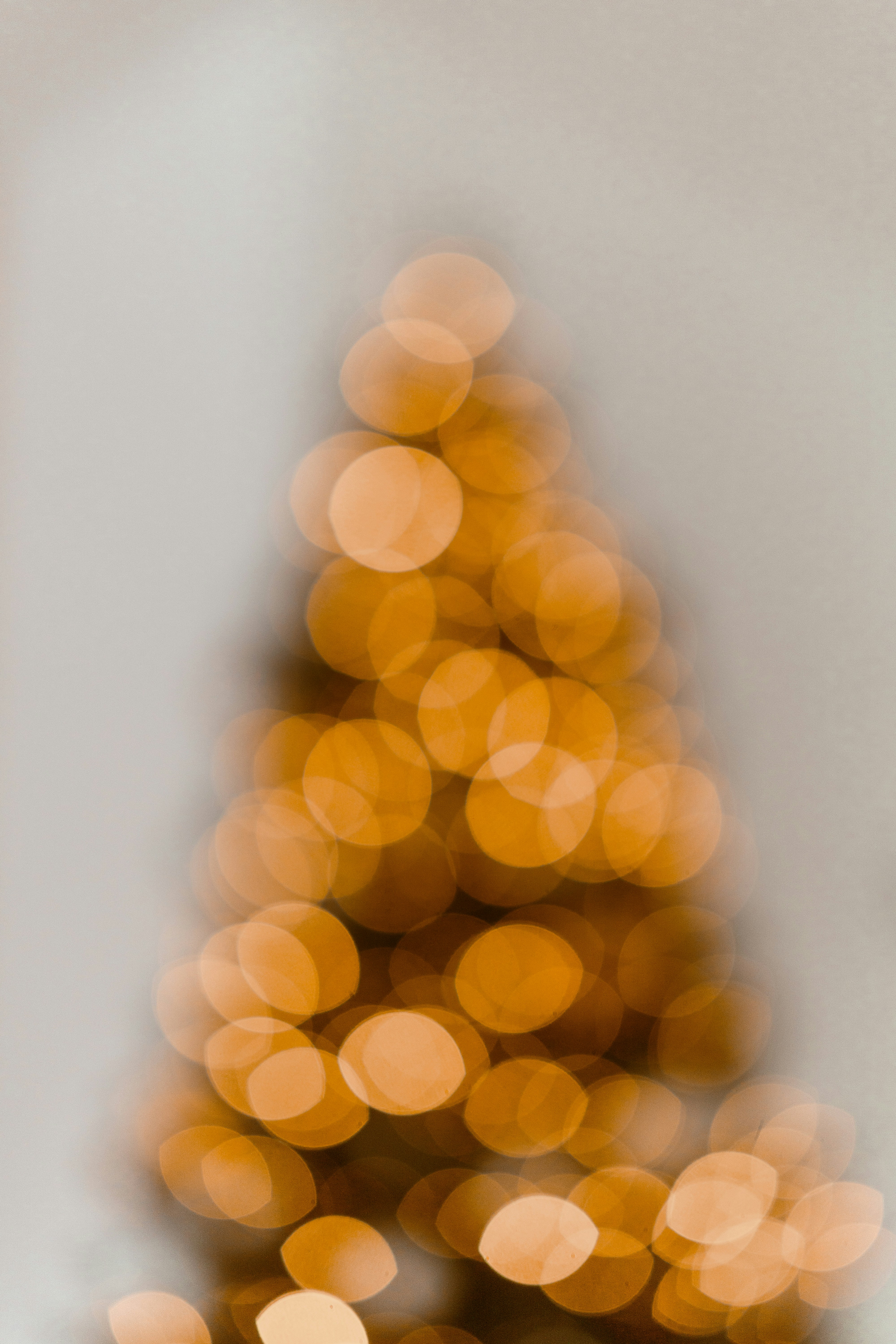 Photo by Ingmar with Sony Alpha 7 III