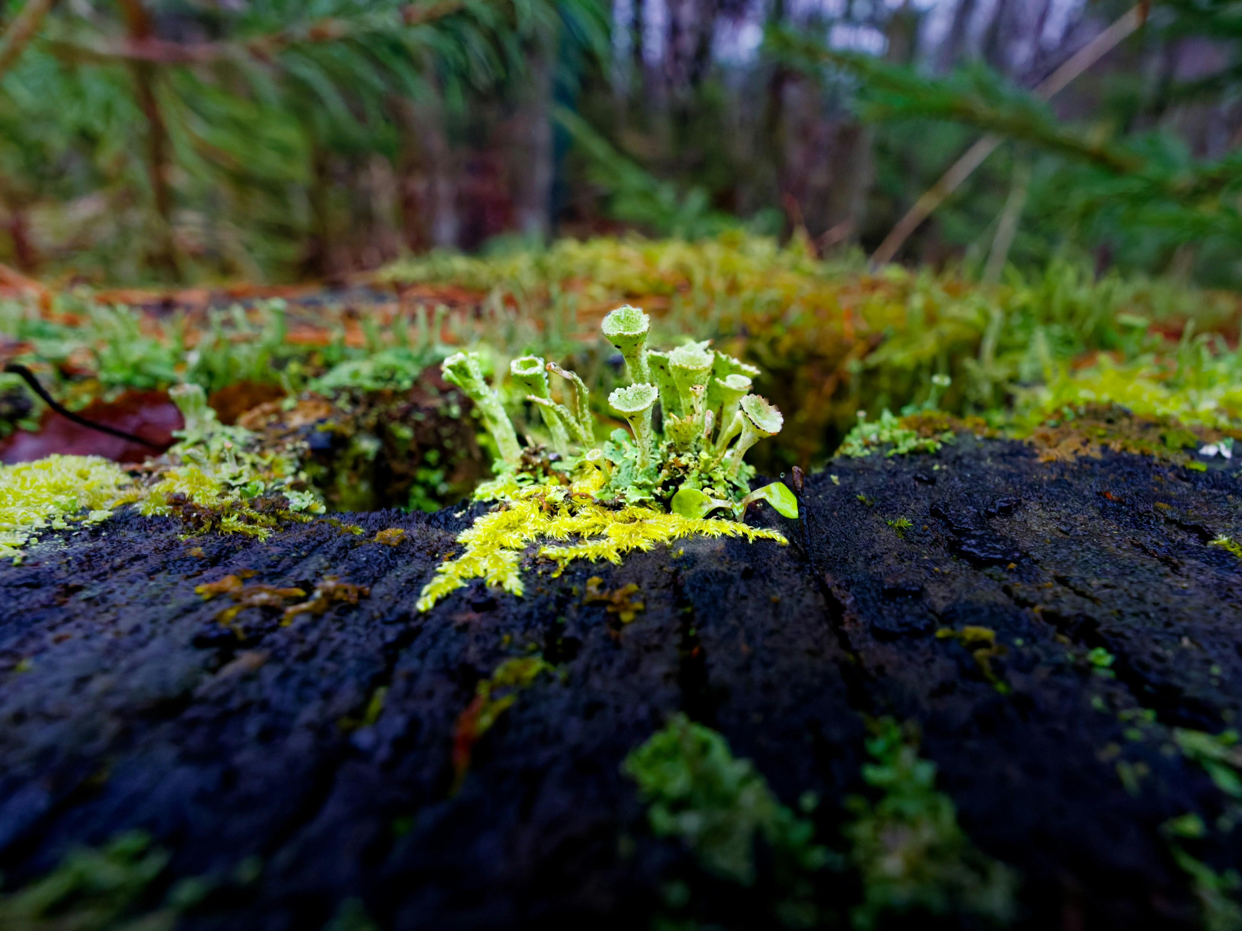 Photo by Henry Schneider with OM System OM-1