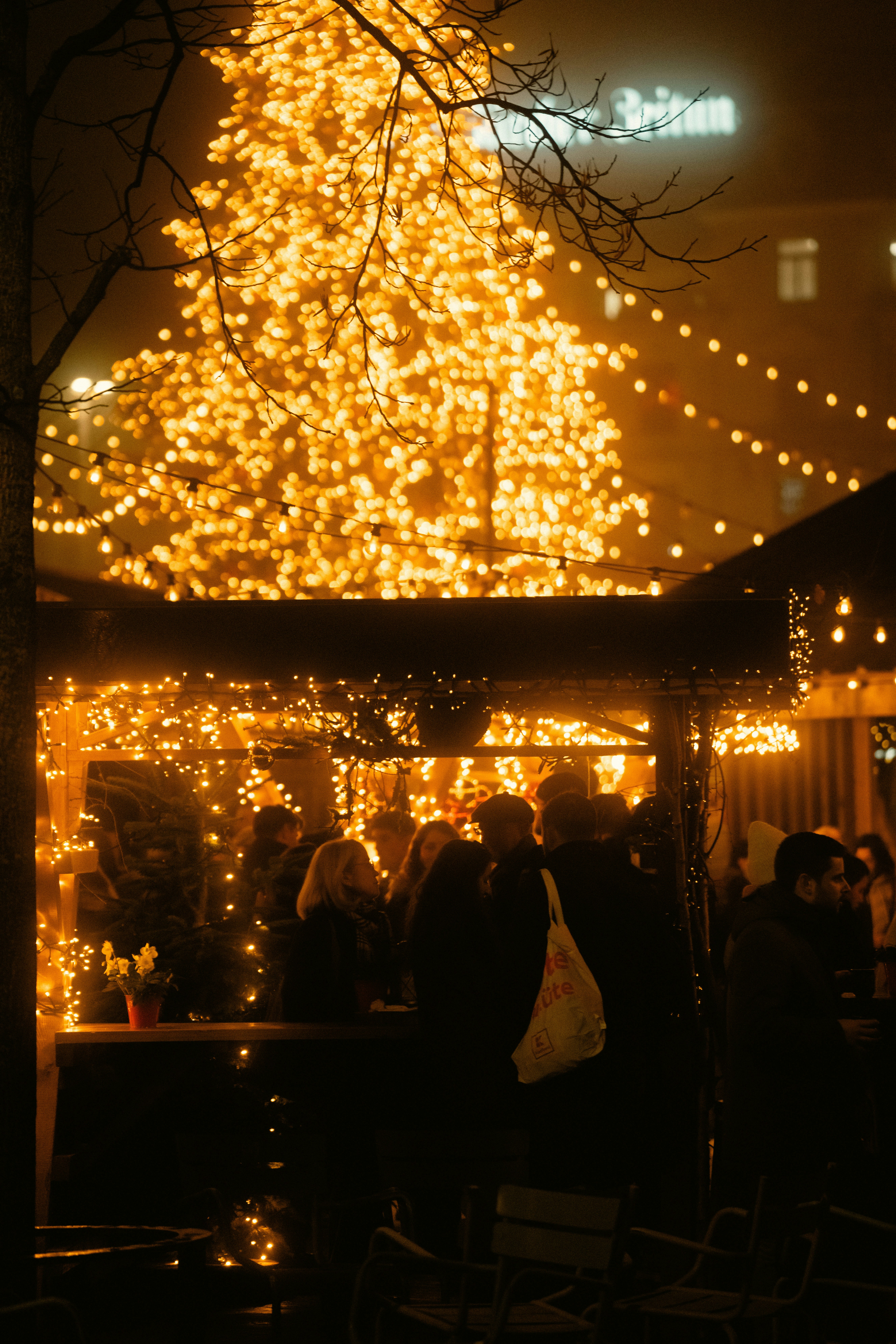 Photo by Sergio Zhukov with Sony Alpha 7R II