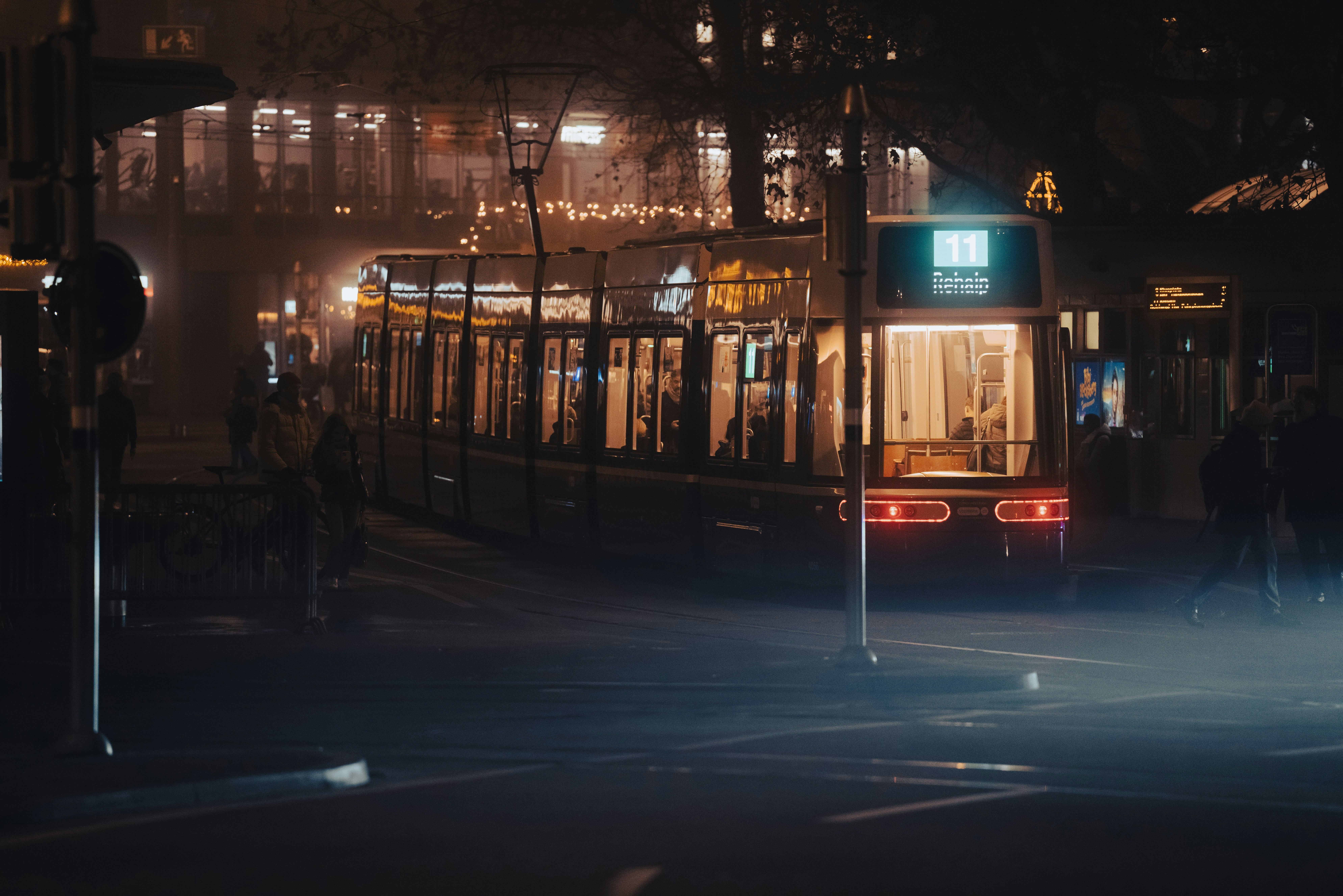 Photo by Sergio Zhukov with Sony Alpha 7R II