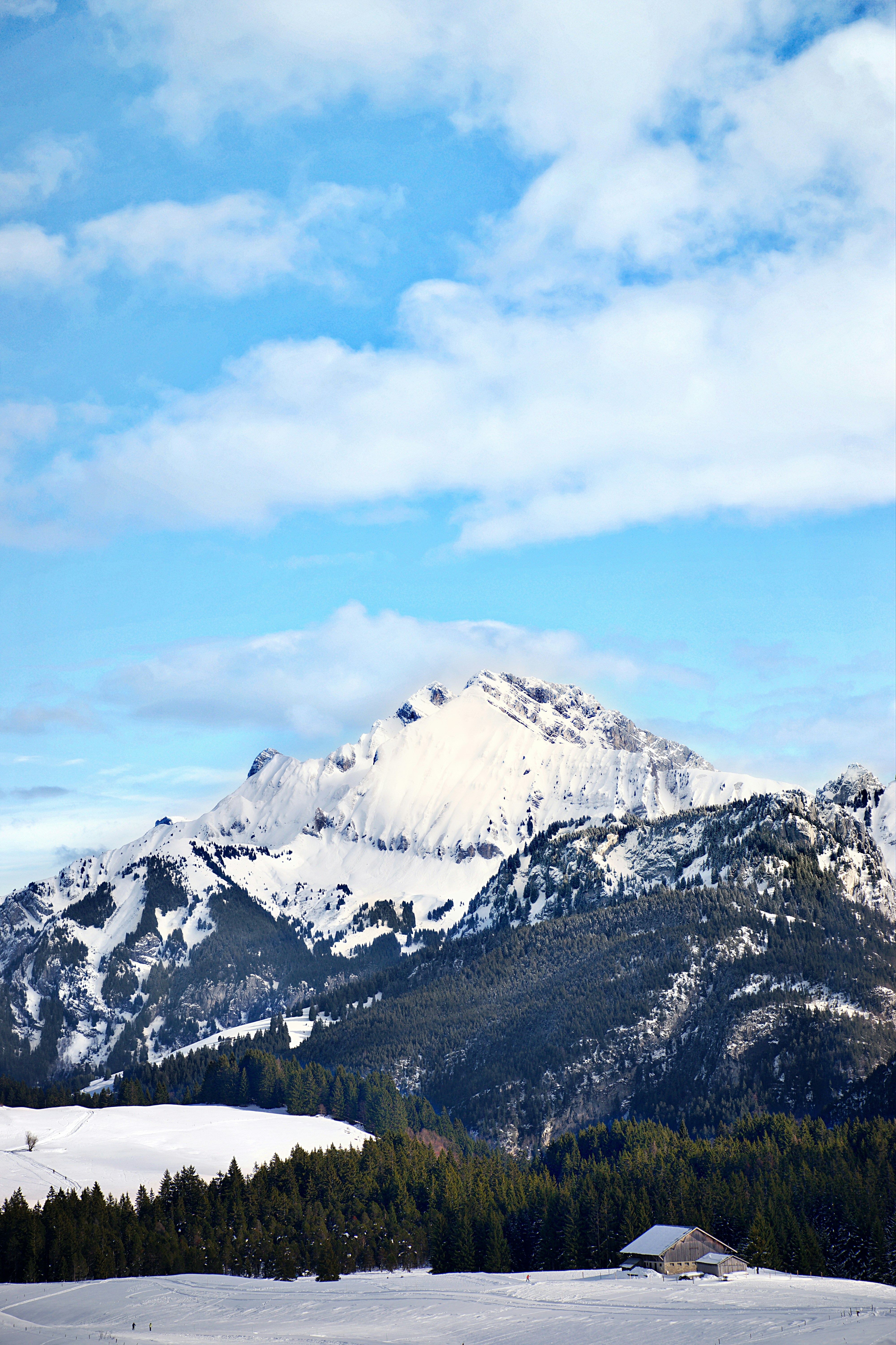 Photo by Julien Photo with Nikon D5300