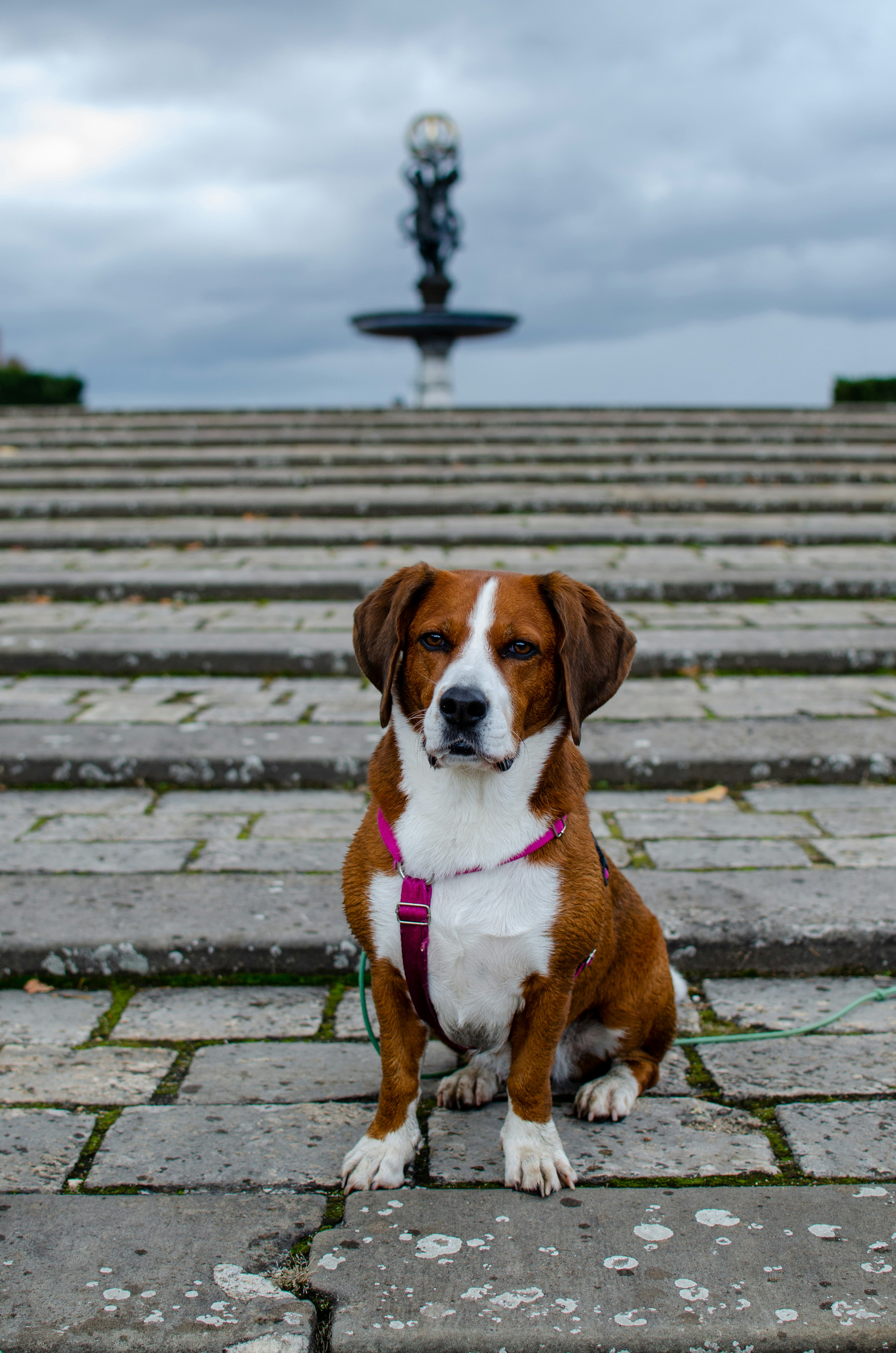 Photo by Mikołaj with Nikon D5100