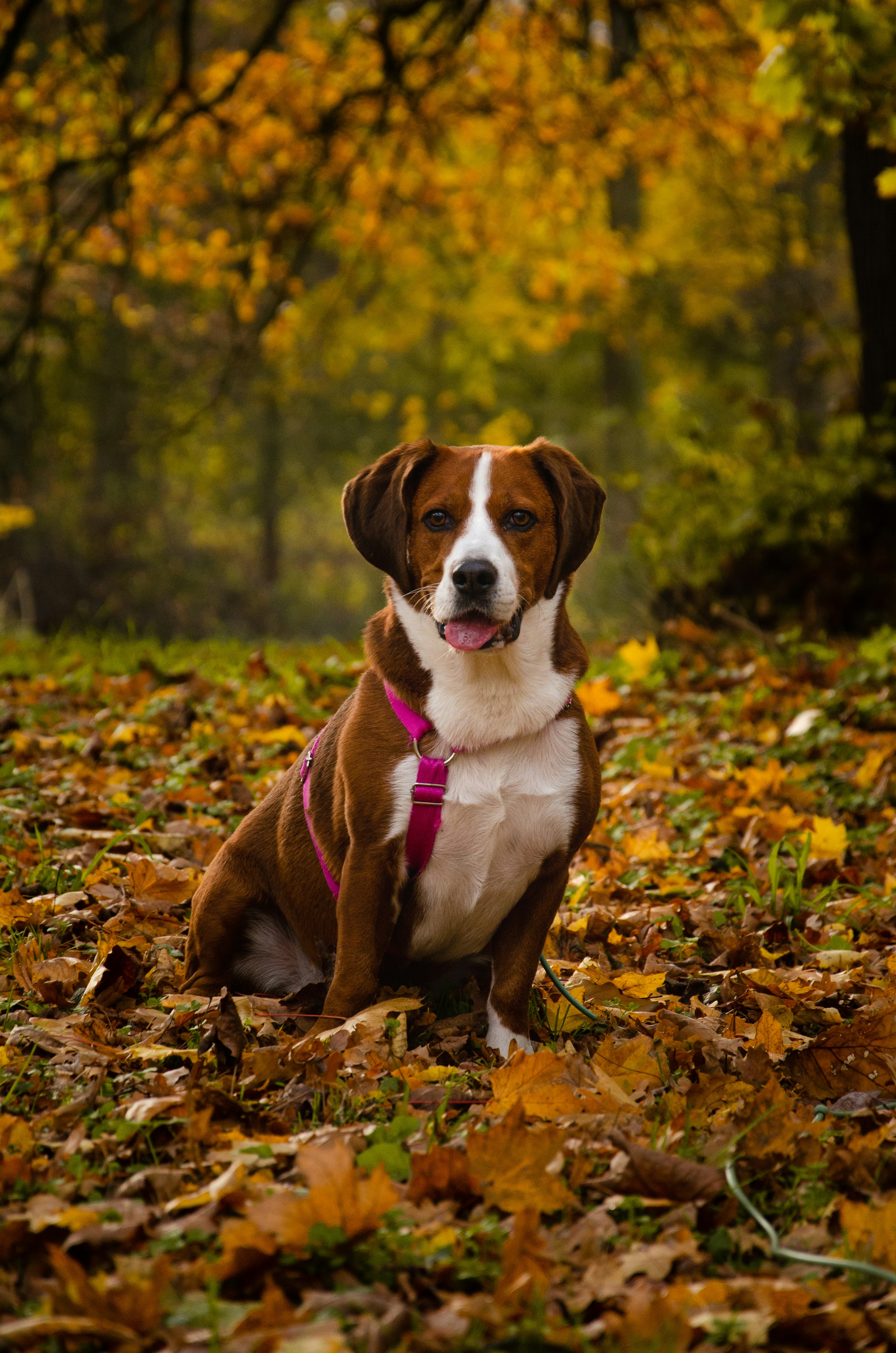 Photo by Mikołaj with Nikon D5100