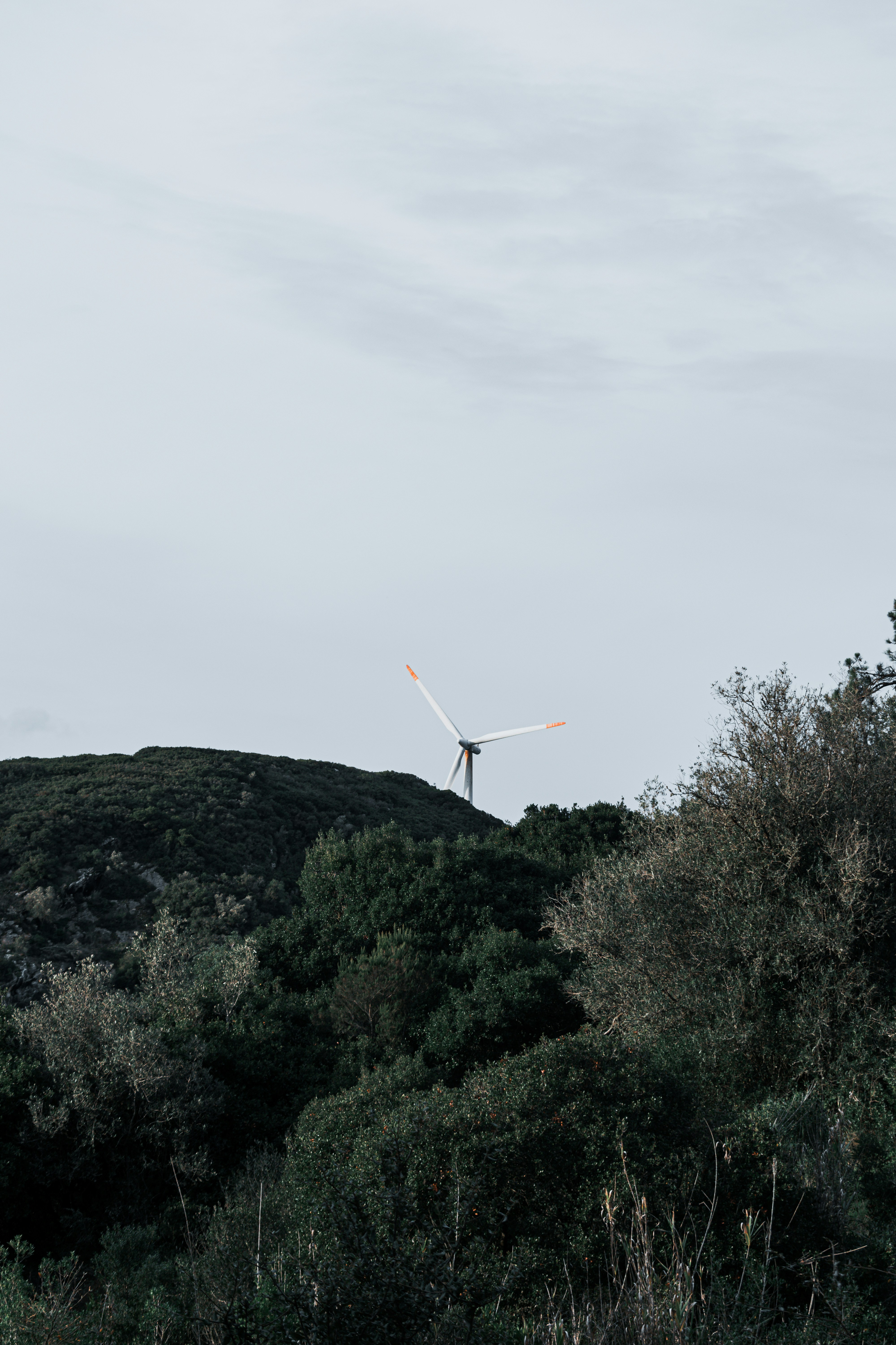 Windmill on the Crest: Quiet Landscape under Open Sky