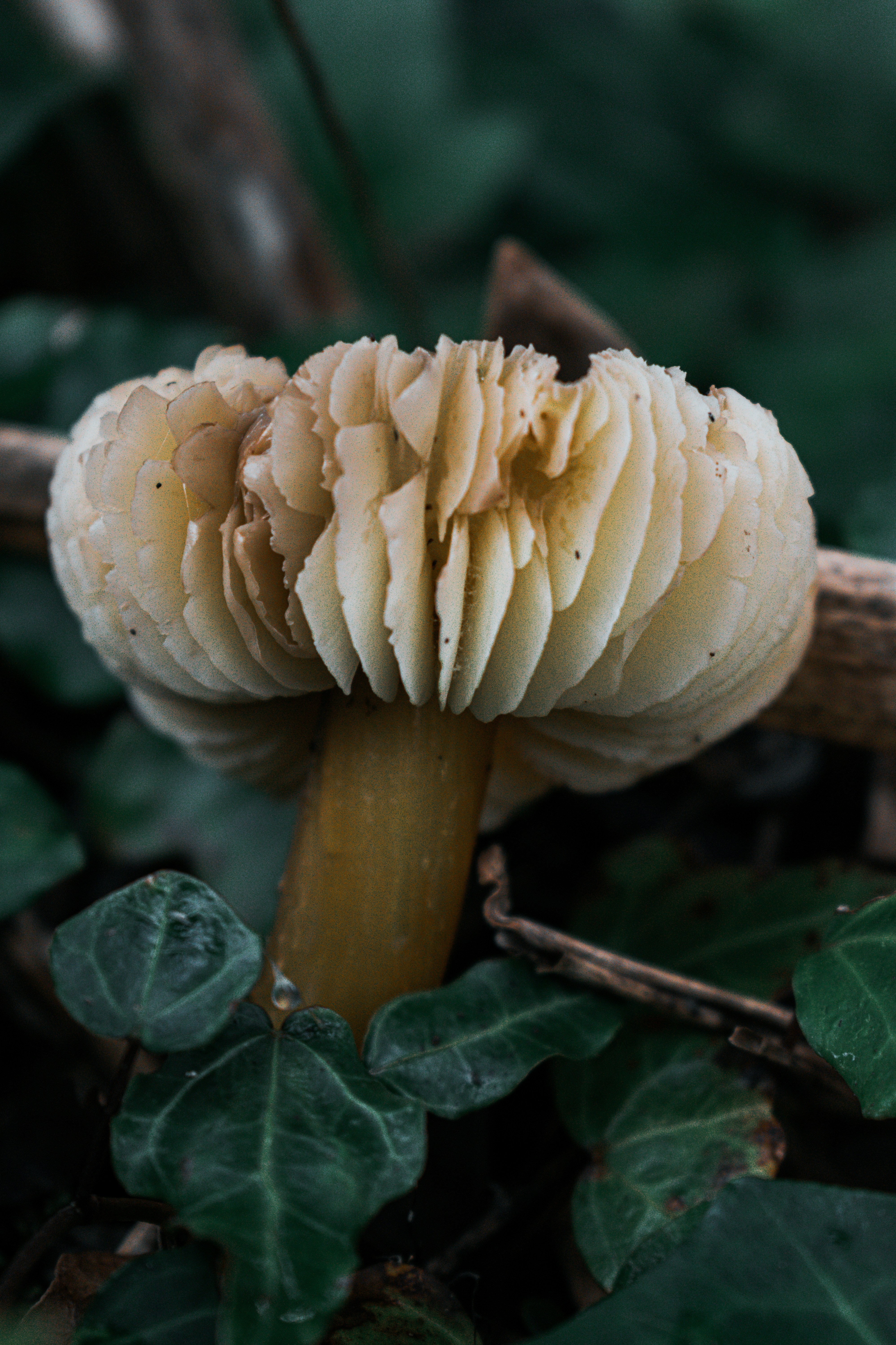 Photo by Vadym Alyekseyenko with Nikon D5500