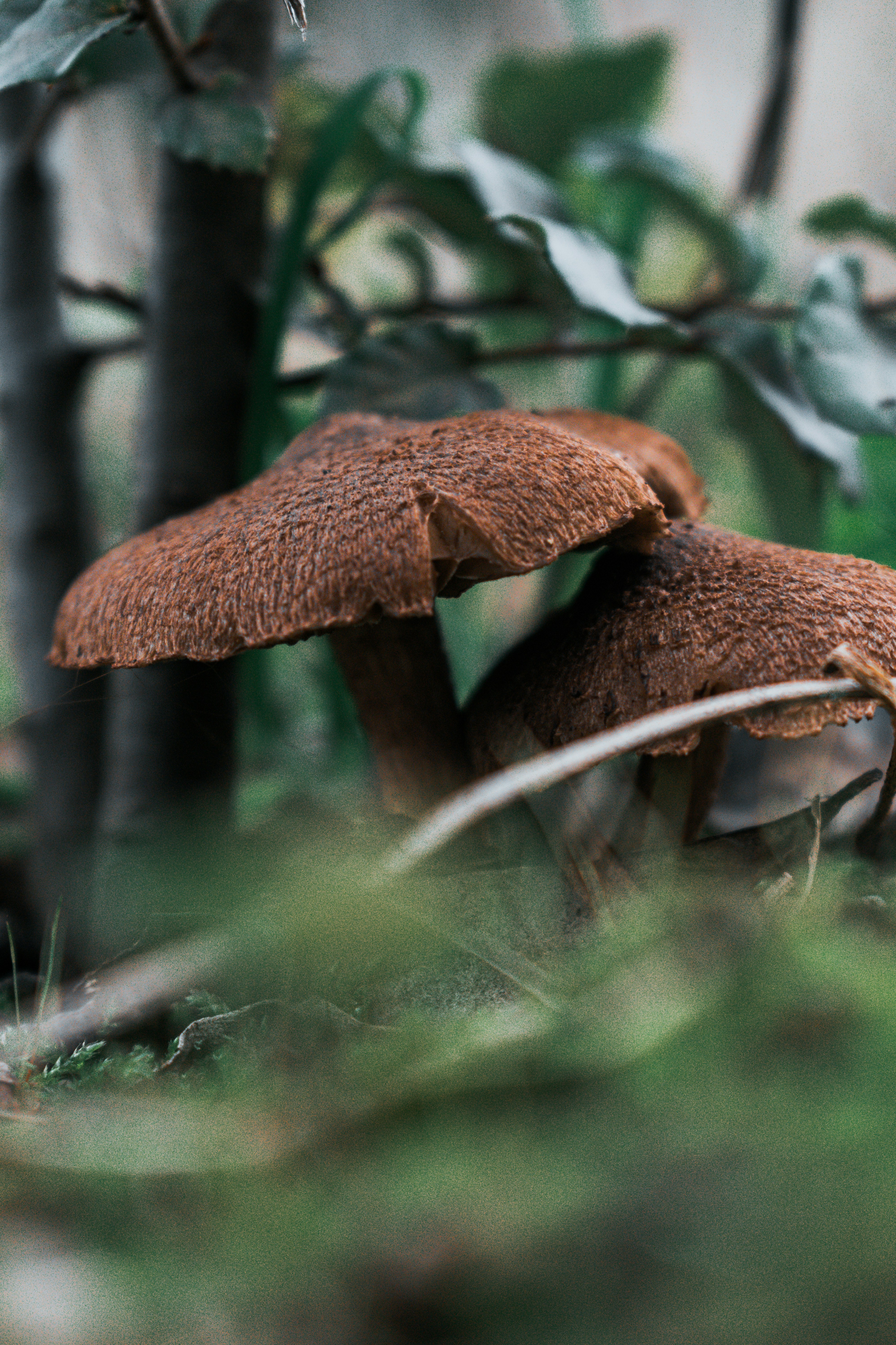 Photo by Vadym Alyekseyenko with Nikon D5500