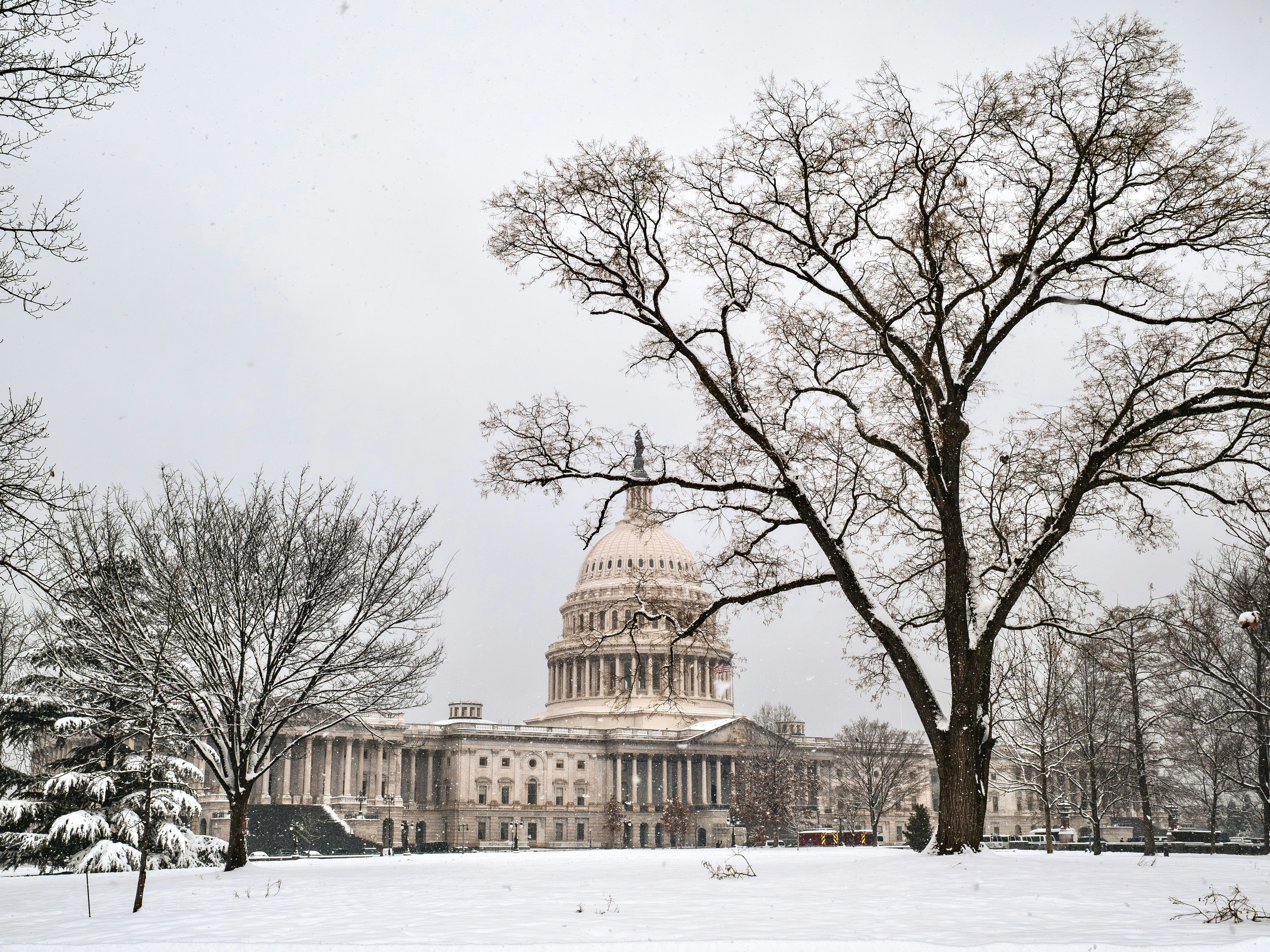 Winter Capitol Silhouette: Snow-Laced Mall Path Under a Pale Sky