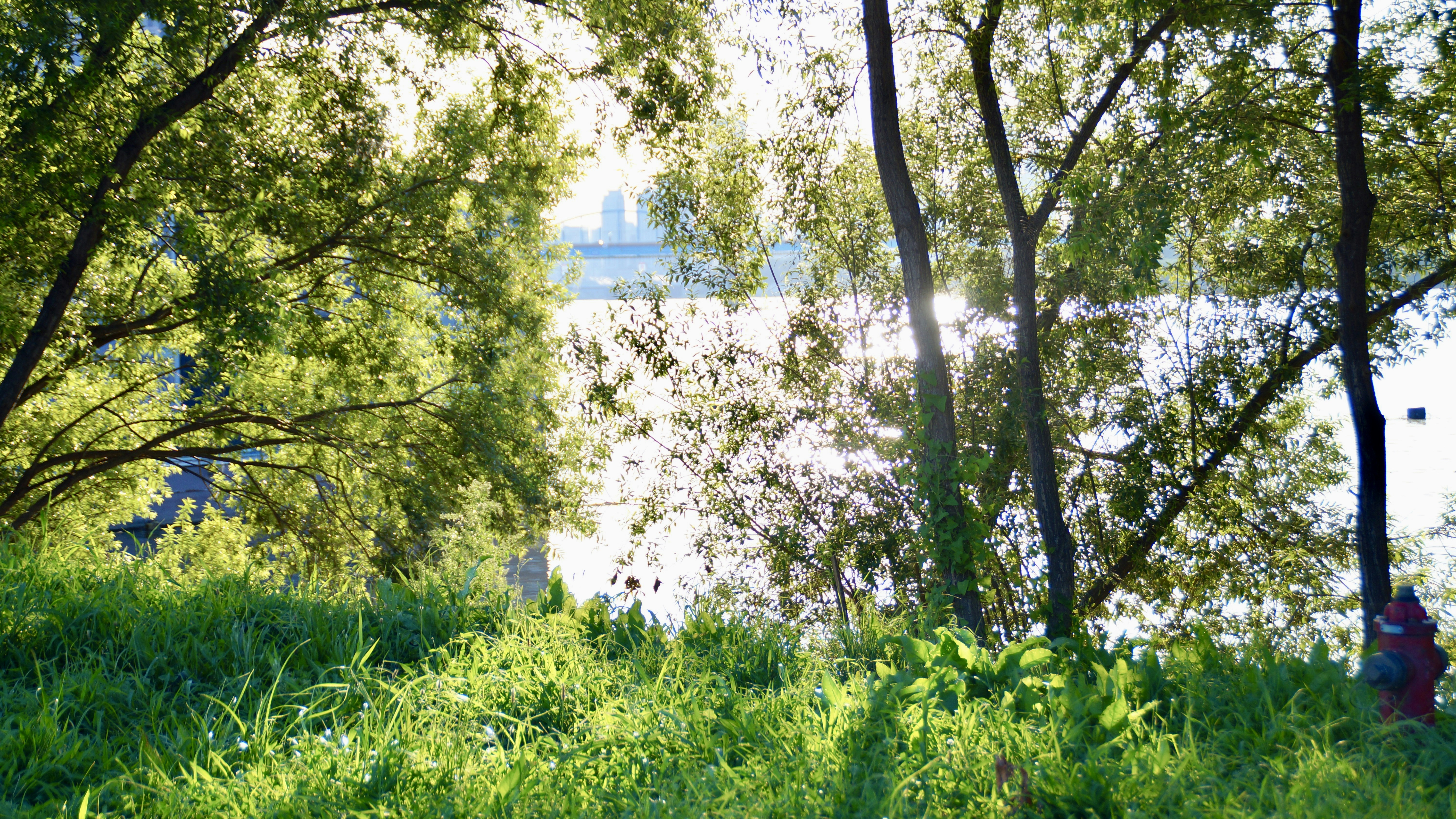 Photo by chop with Sony Alpha A65