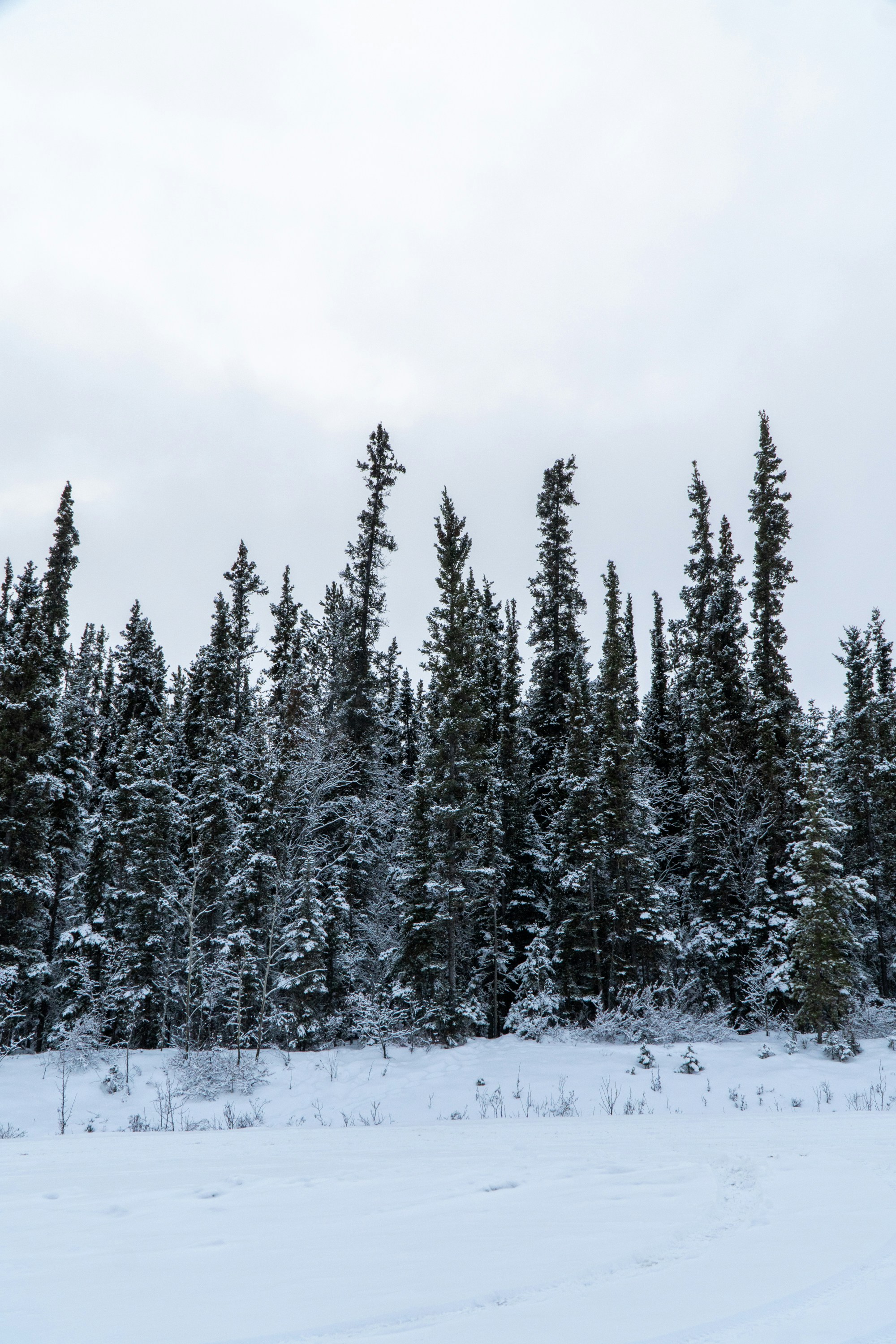 Photo by Chewool Kim with Sony Alpha 6400