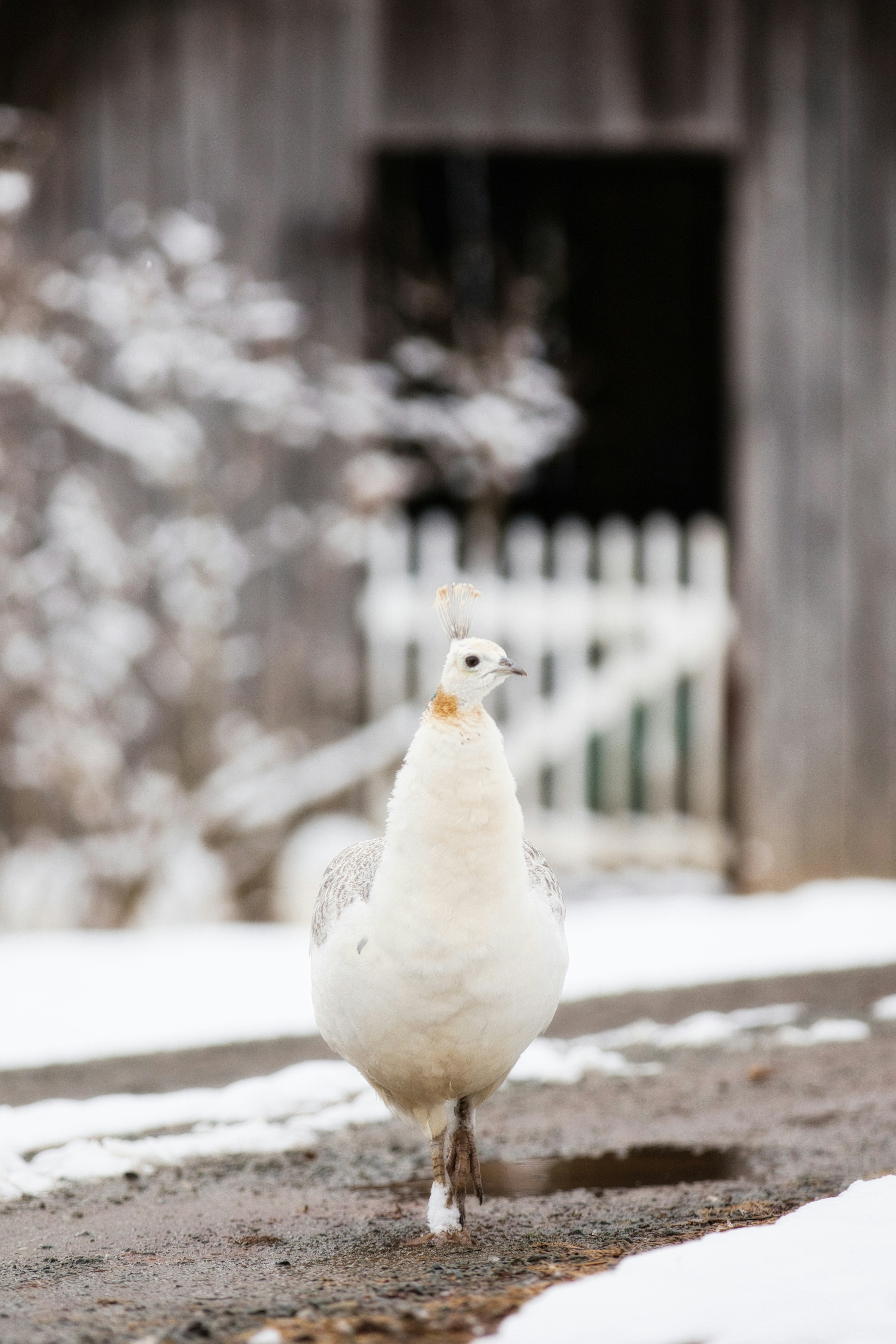 Photo by Chandler Cruttenden with Canon EOS 7D Mark II