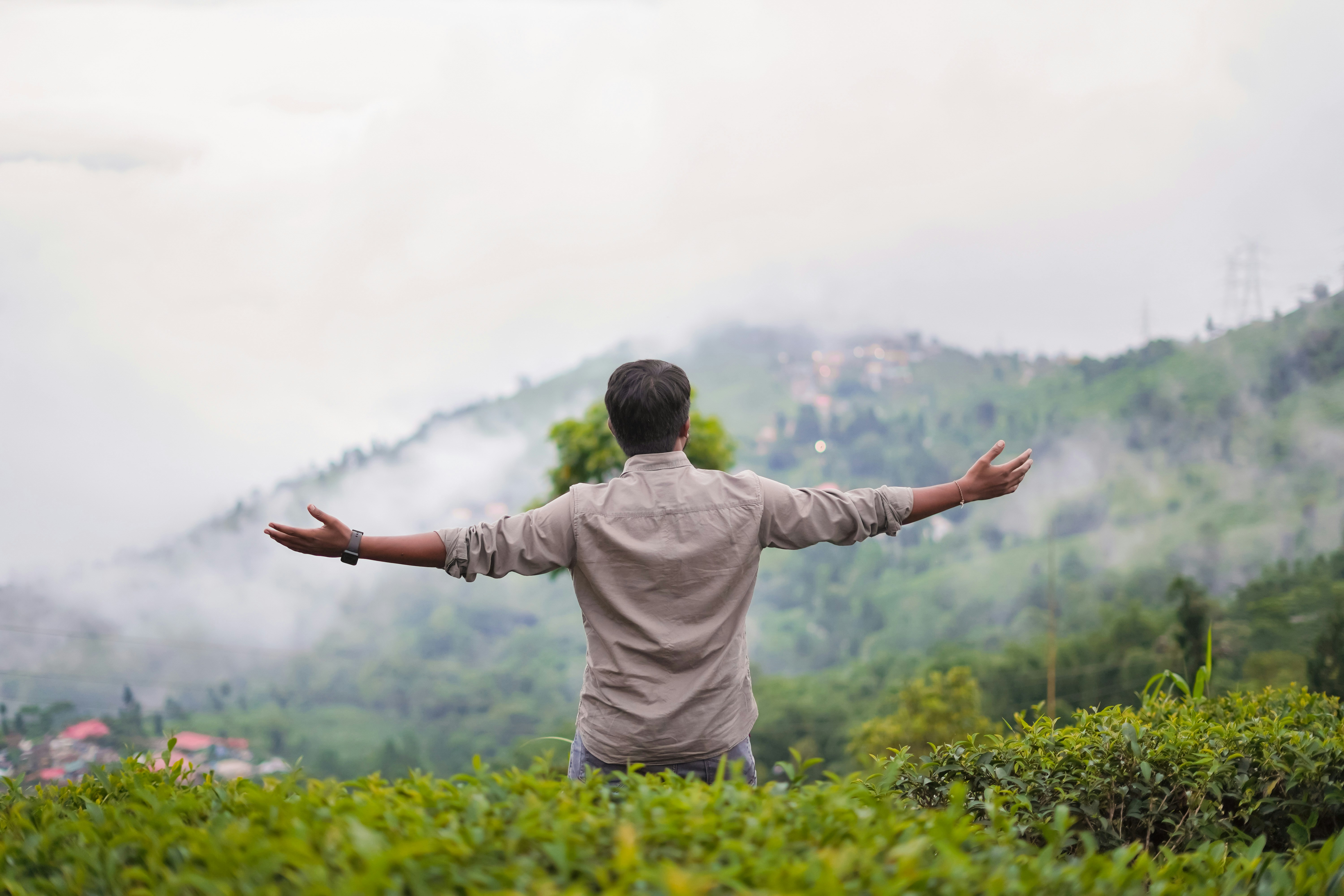 A young man, dressed in a casual grey shirt, stands with his arms wide open, either facing away from the camera in awe of the mountainous view or turning to smile at the camera. The foreground is dominated by vibrant green tea bushes, contrasting with the soft, cloud-covered hills and distant village lights in the background. The mood is one of peace, freedom, and deep connection with nature.
