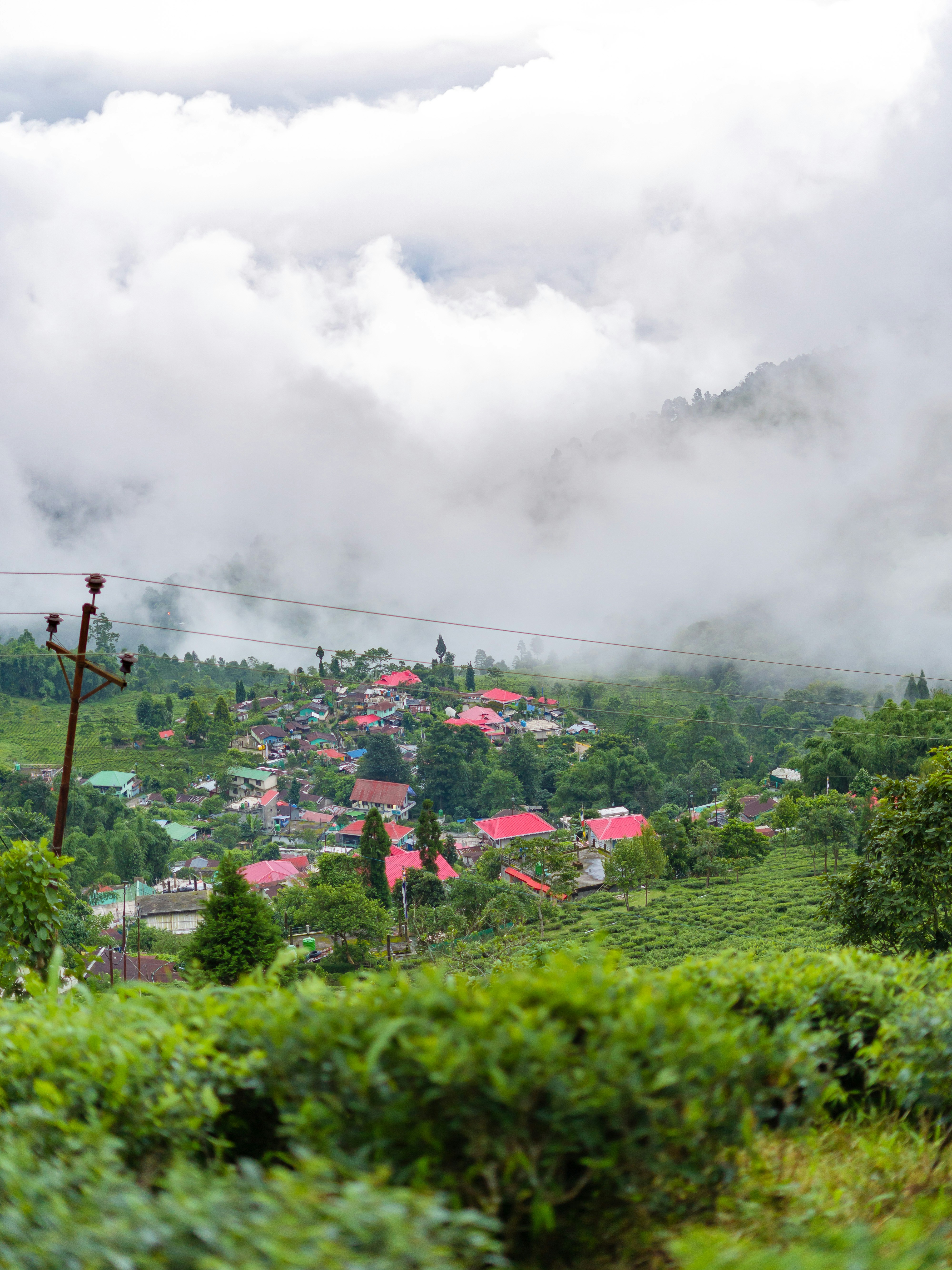 A series of picturesque images capturing the vibrant, lush tea plantations and mountainous roads of a hill station, likely in Eastern India. The scene is often shrouded in beautiful, low-hanging clouds or mist, lending a serene atmosphere. Winding roads cut through the intensely green, terraced slopes, connecting small villages with brightly colored roofs. Some shots feature a male traveler standing with arms outstretched, embodying freedom and the fresh, natural air of the environment.