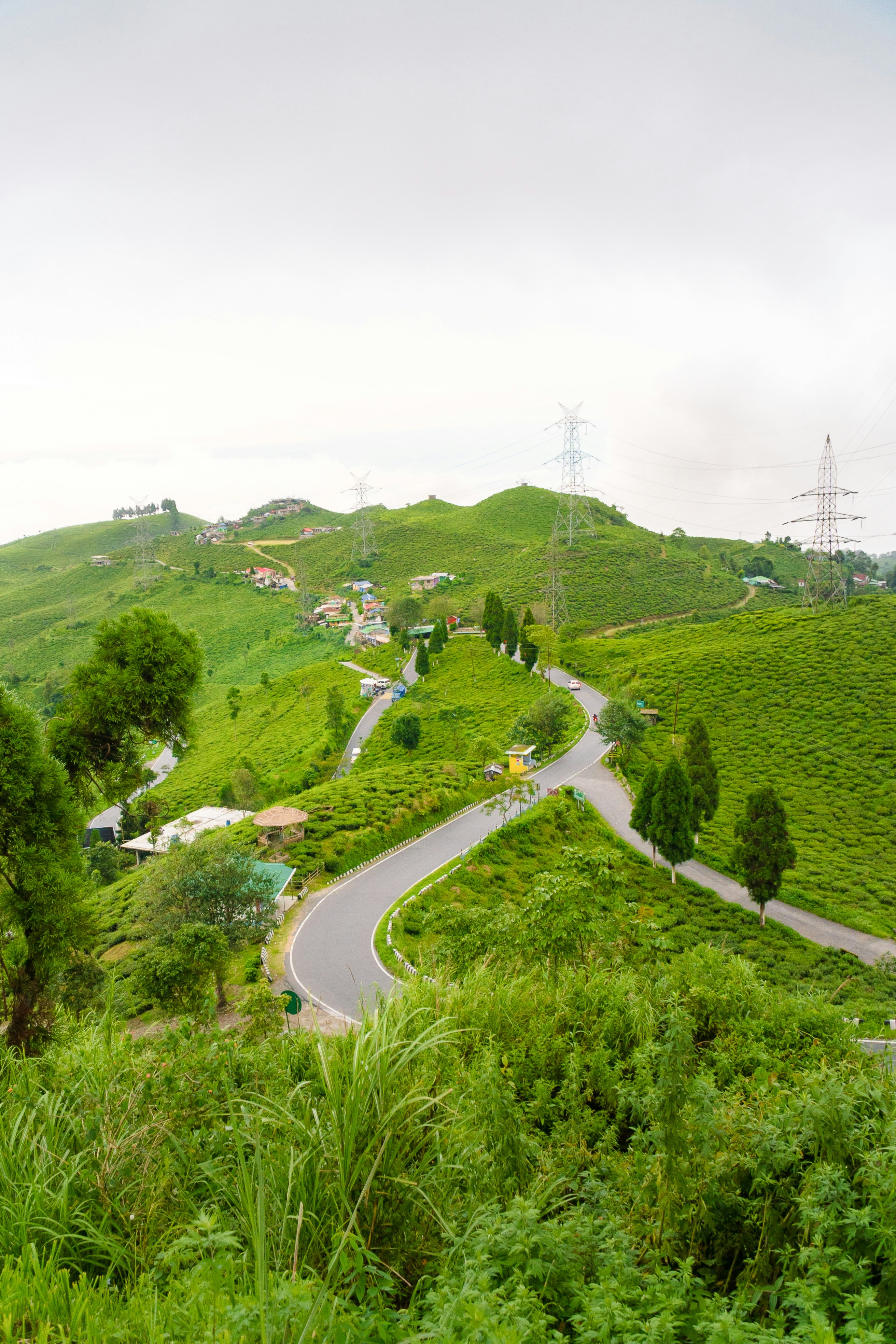 A series of picturesque images capturing the vibrant, lush tea plantations and mountainous roads of a hill station, likely in Eastern India. The scene is often shrouded in beautiful, low-hanging clouds or mist, lending a serene atmosphere. Winding roads cut through the intensely green, terraced slopes, connecting small villages with brightly colored roofs. Some shots feature a male traveler standing with arms outstretched, embodying freedom and the fresh, natural air of the environment.