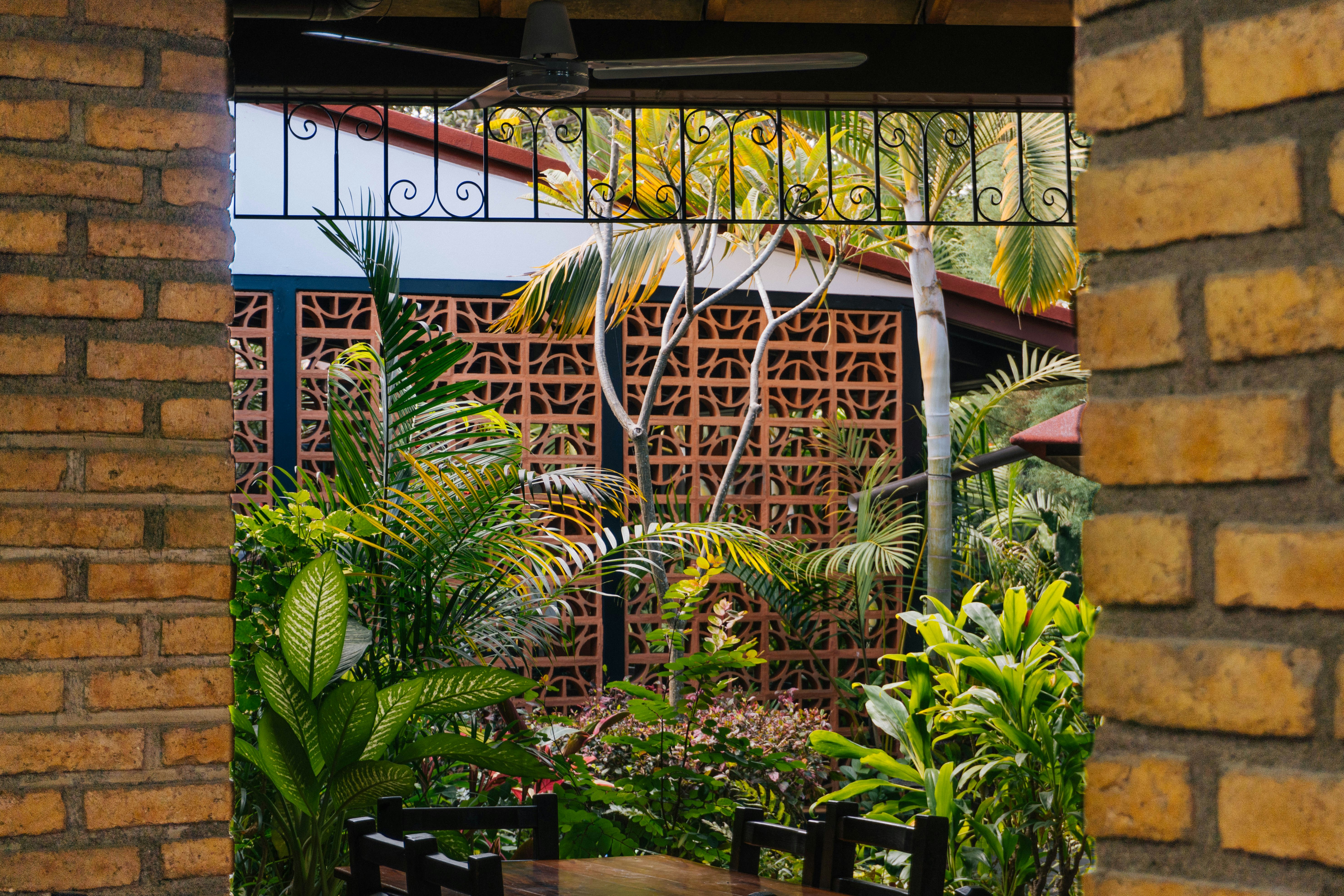 Photo by Leonardo Vargas with Sony Alpha 6400