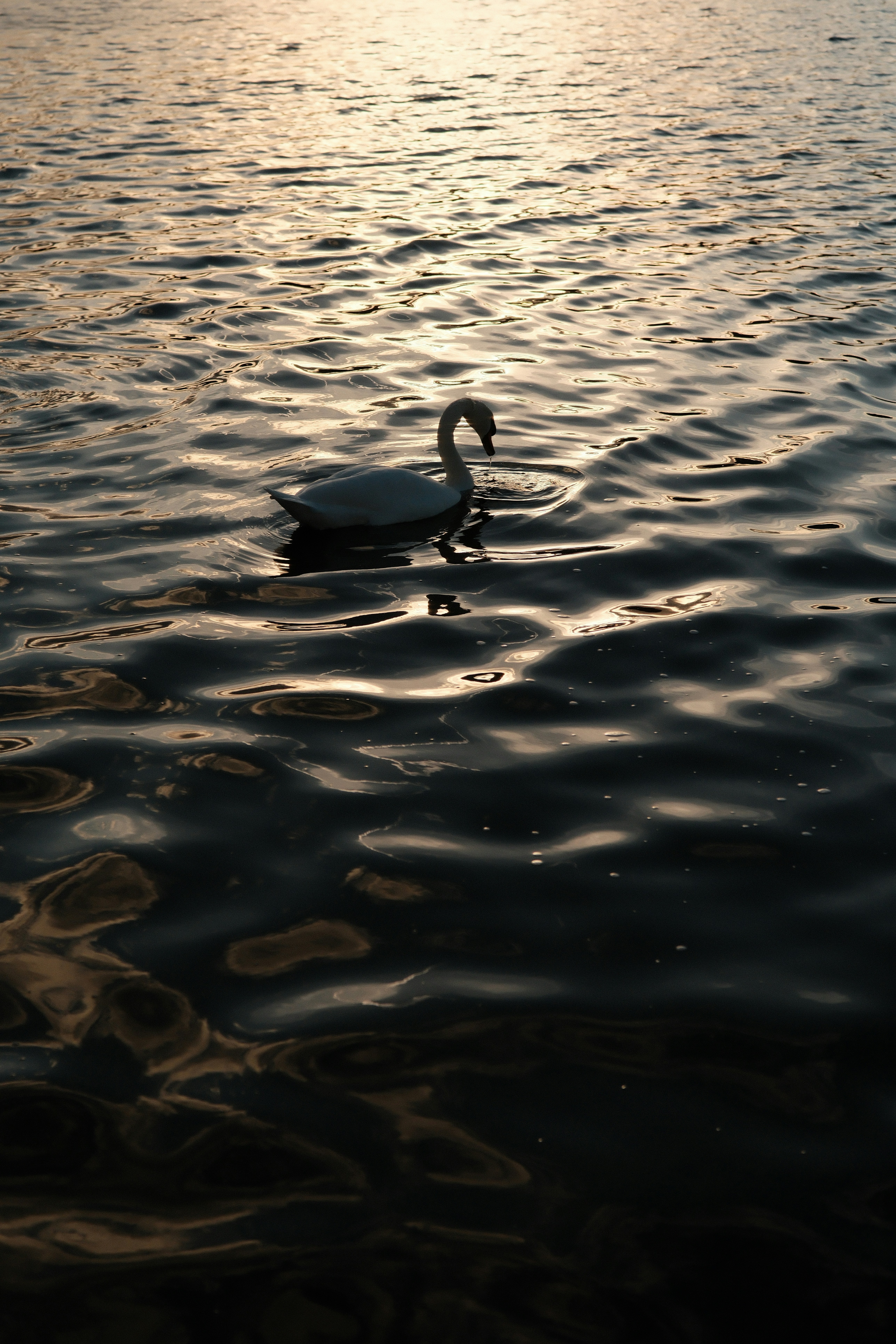 Photo by Junyu Zhang with Fujifilm X-T5